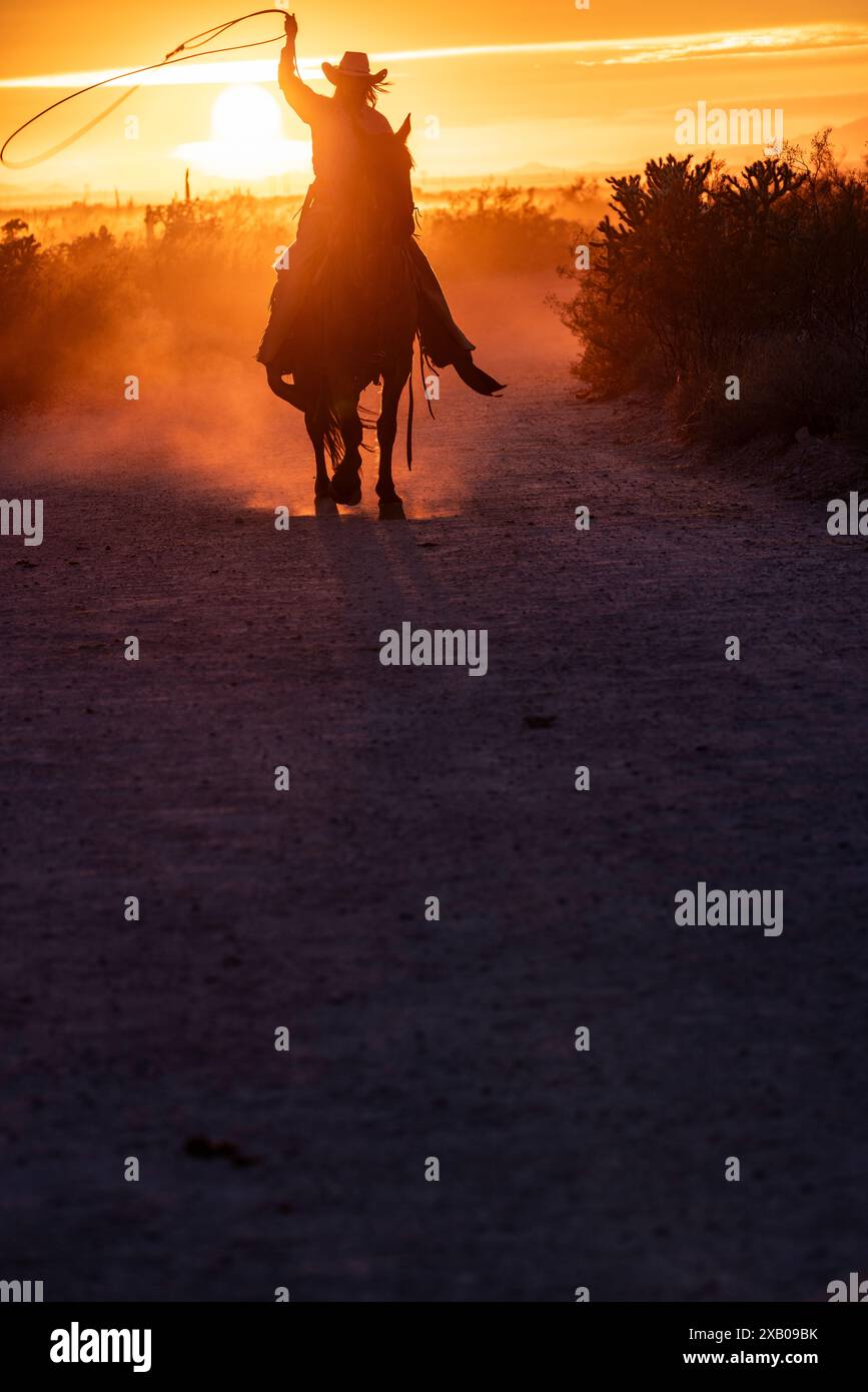 Female ranch hand, or cowgirl, riding horse in the sunset on a ranch in ...