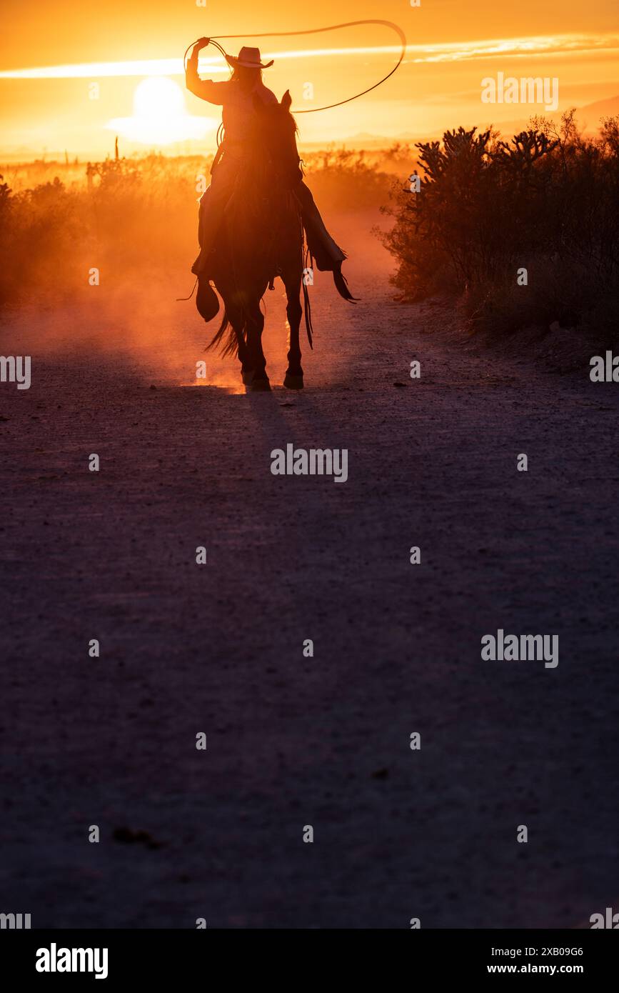 Female ranch hand, or cowgirl, riding horse in the sunset on a ranch in ...