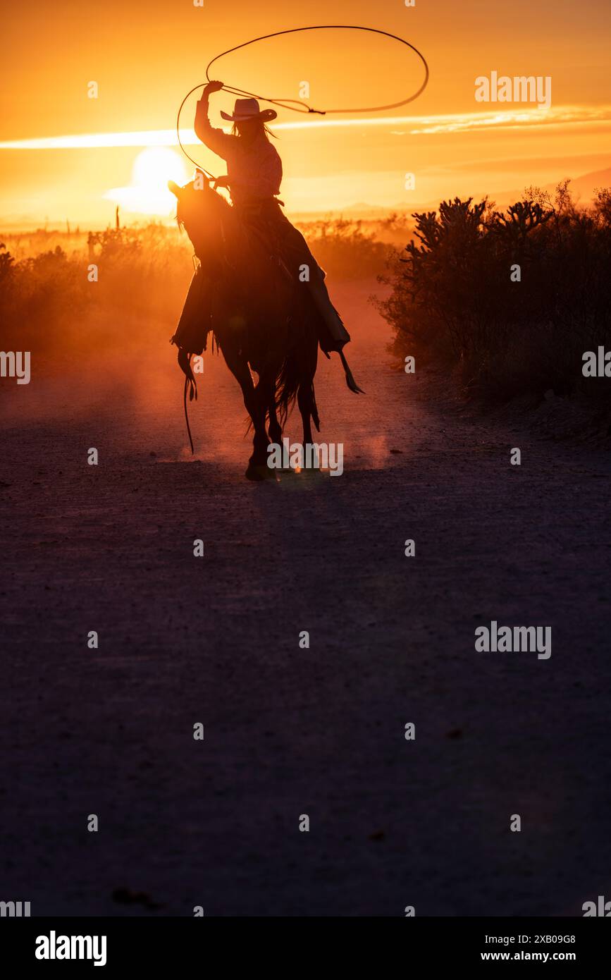 Female ranch hand, or cowgirl, riding horse in the sunset on a ranch in ...