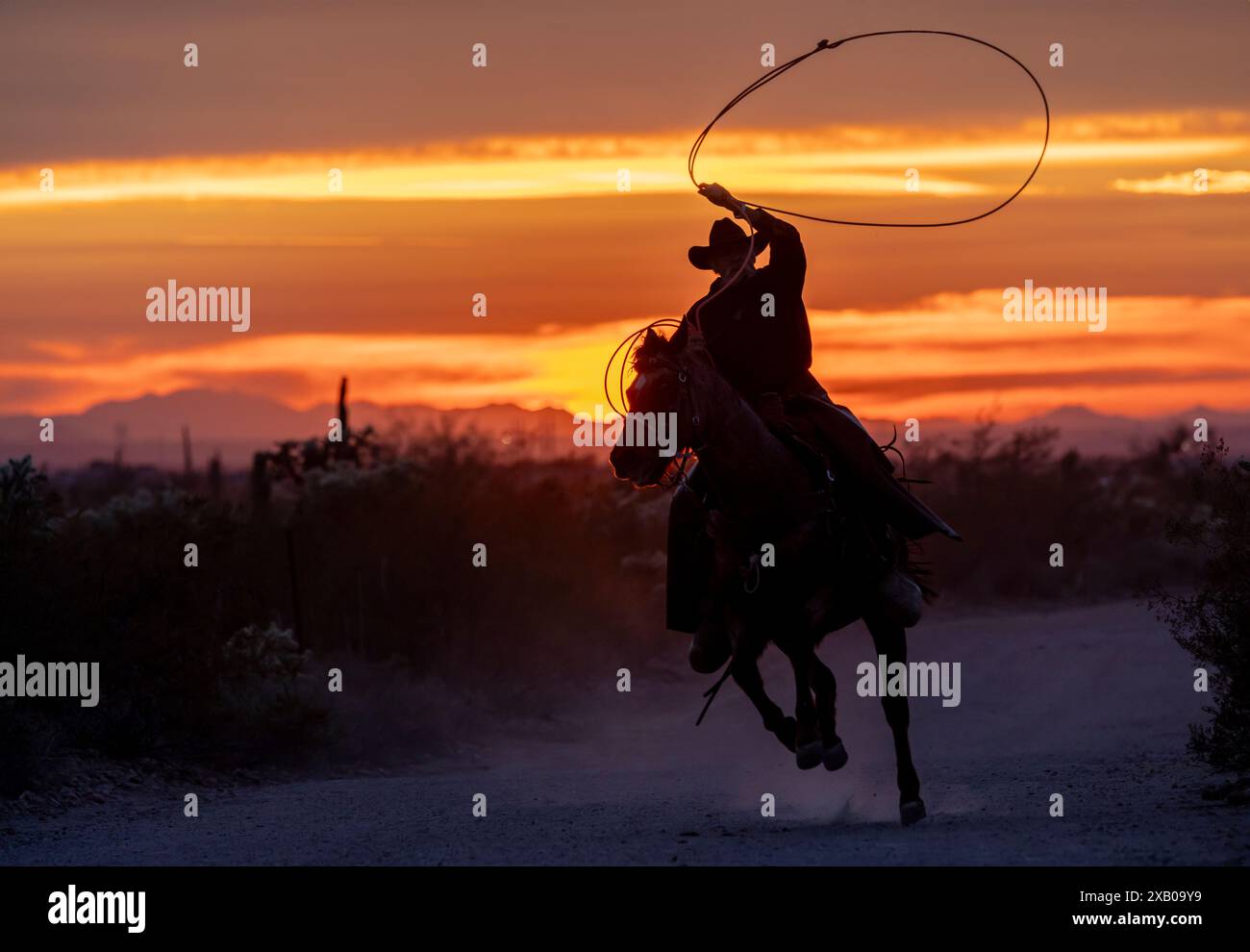 Silhouette of ranch hand, or cowboy, riding his horse in the sunset ...