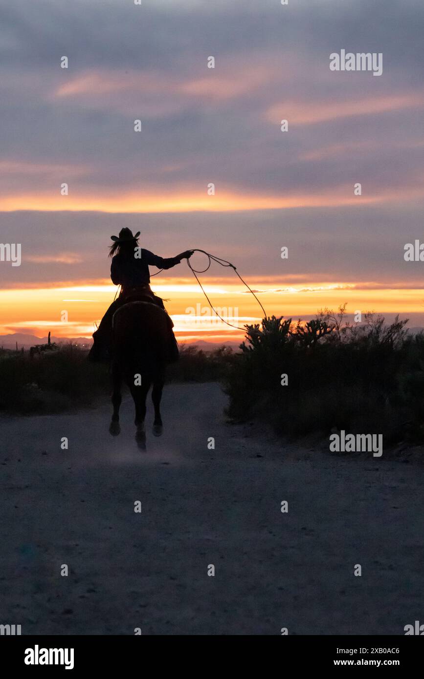 Female ranch hand, or cowgirl, riding horse in the sunset on a ranch in ...