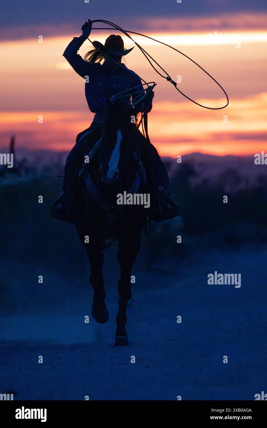 Female ranch hand, or cowgirl, riding horse in the sunset on a ranch in ...