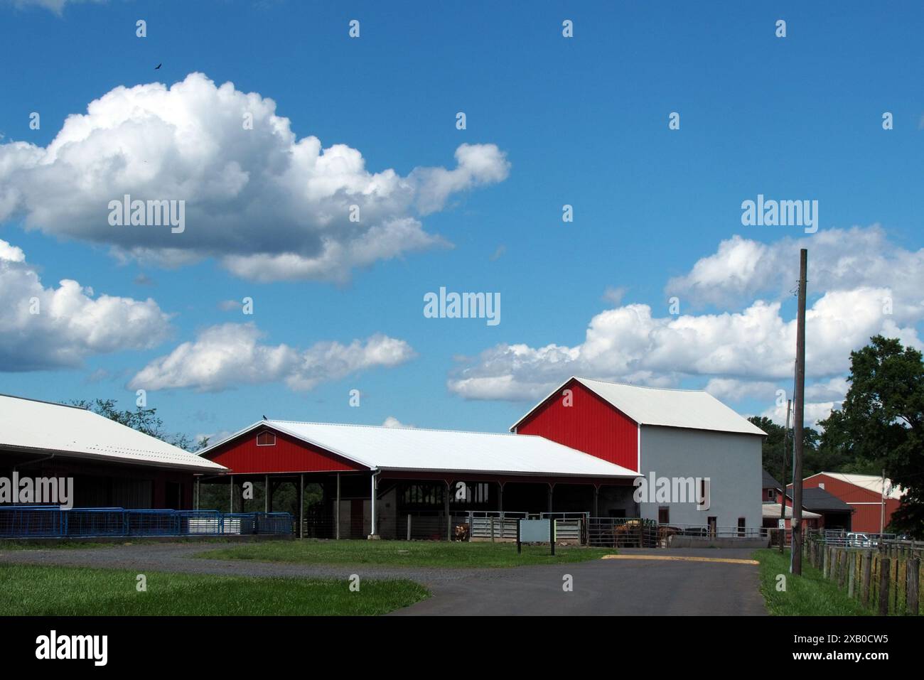 An afternoon at the farm with animals Stock Photo - Alamy