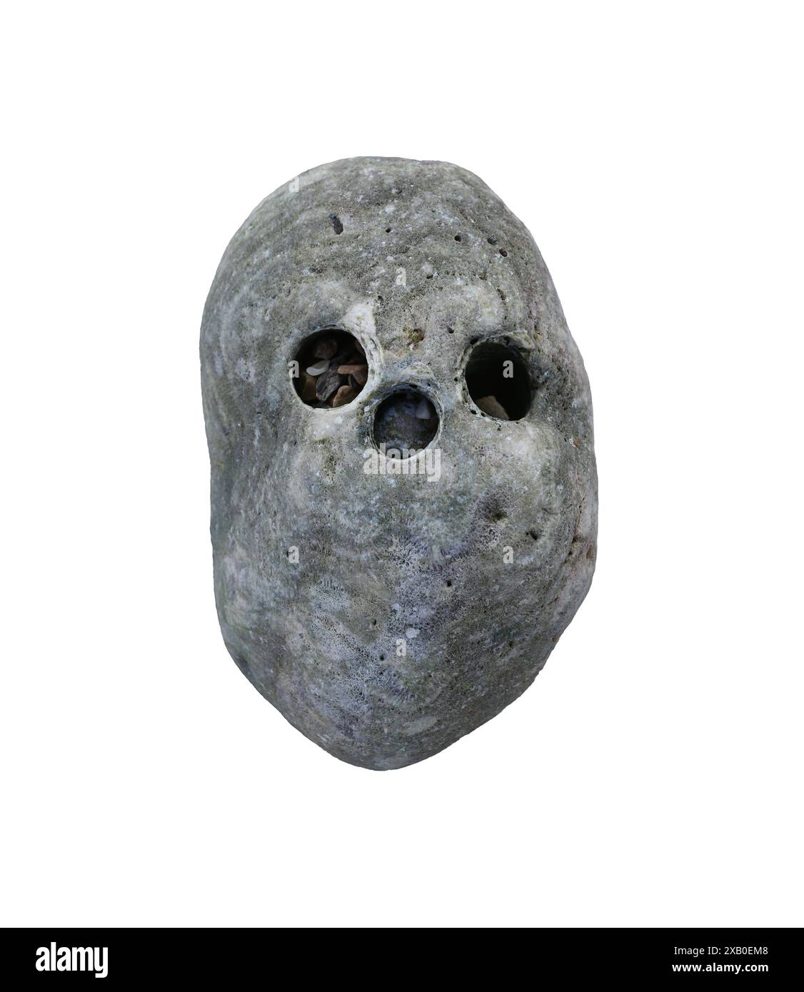 White dead coral rocks or brain coral stone isolated on white ...