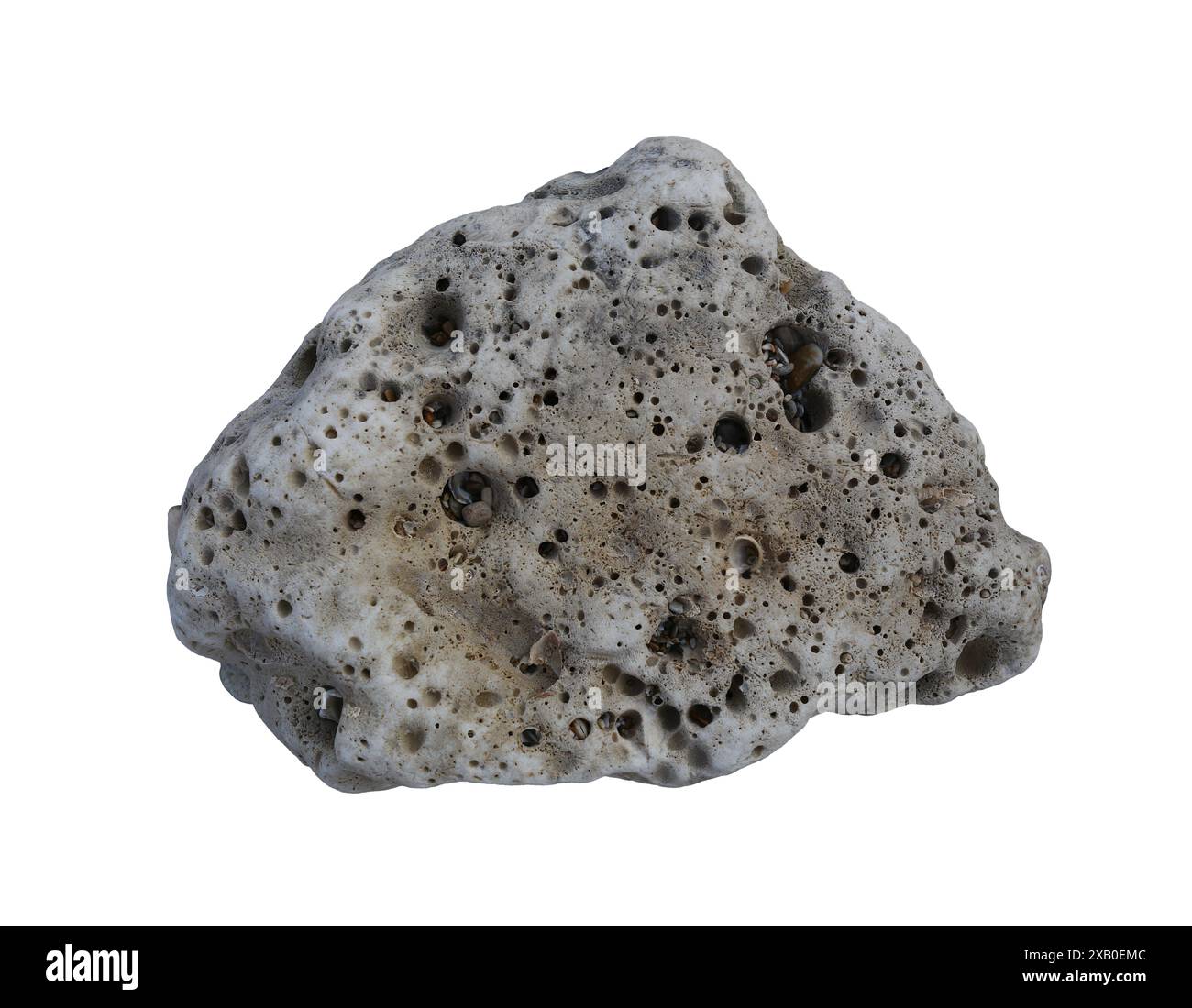 Dead coral up on beach hi-res stock photography and images - Alamy