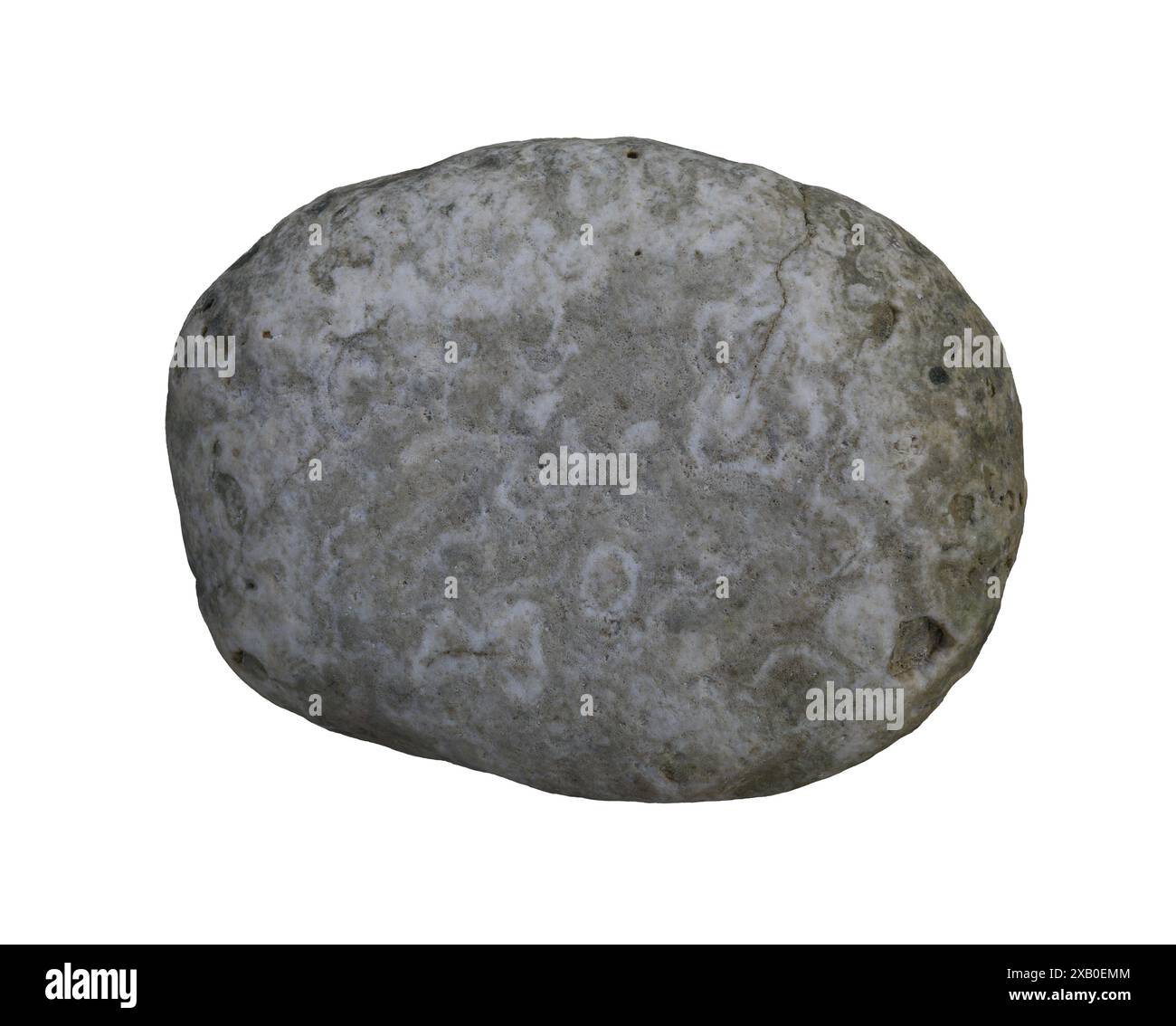 White dead coral rocks or brain coral stone isolated on white ...