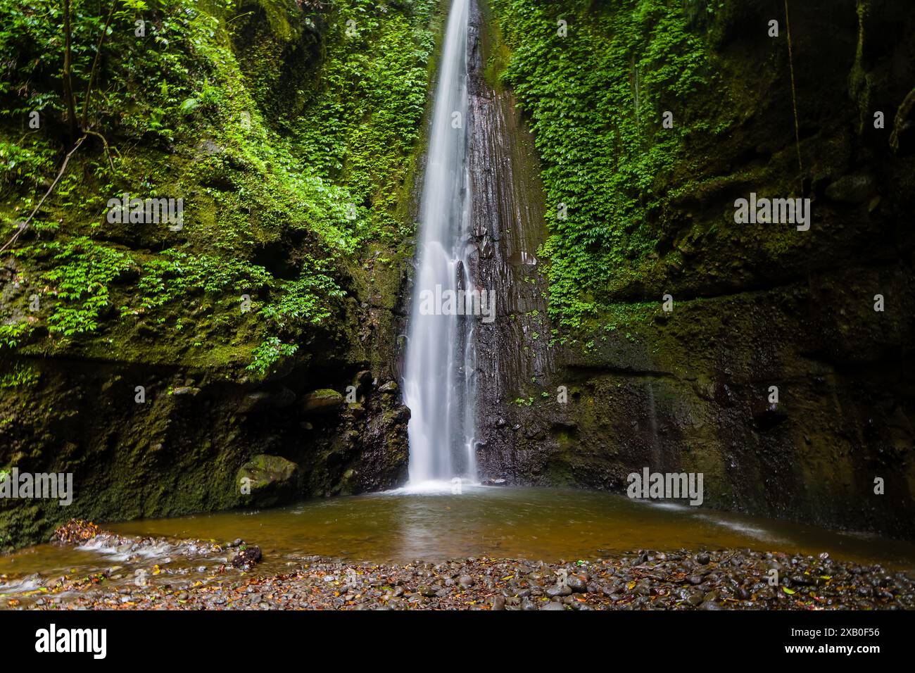 A tall waterfall in a tropical rainforest in Lombok, Indonesia Stock ...