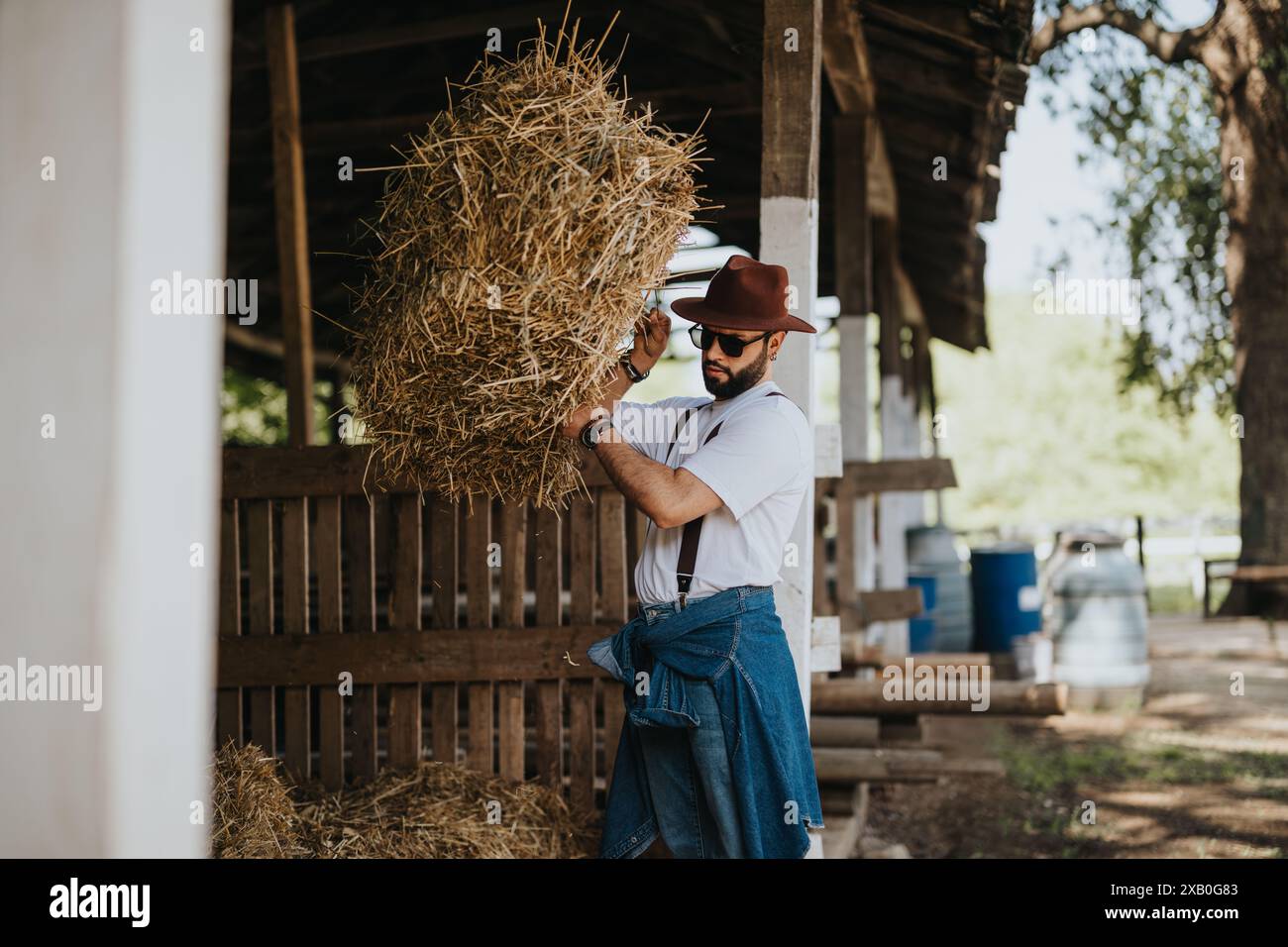 Farmer carrying hay bale on a sunny day on rural farm Stock Photo - Alamy
