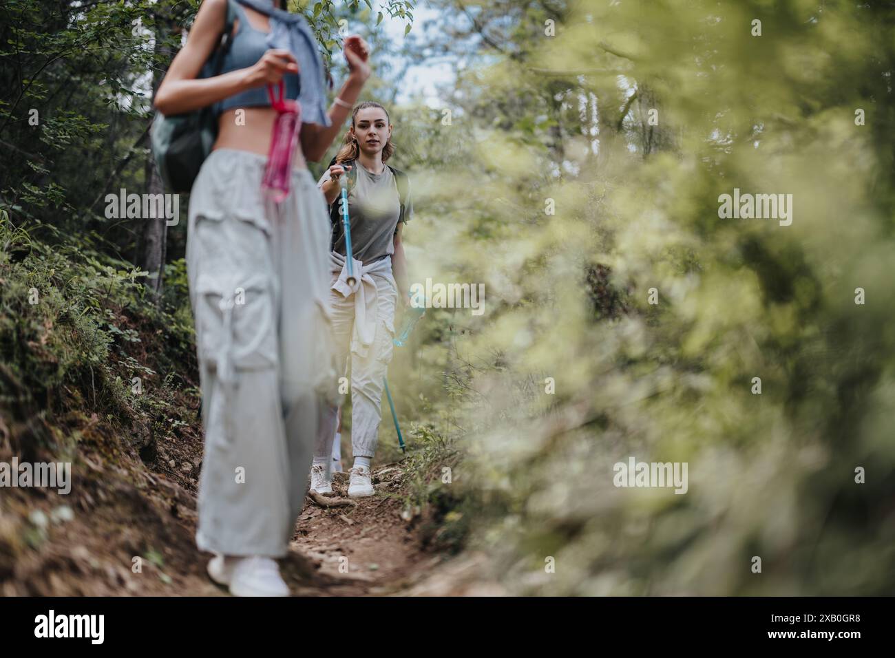 Two women hiking in the forest with backpacks on a sunny day Stock ...