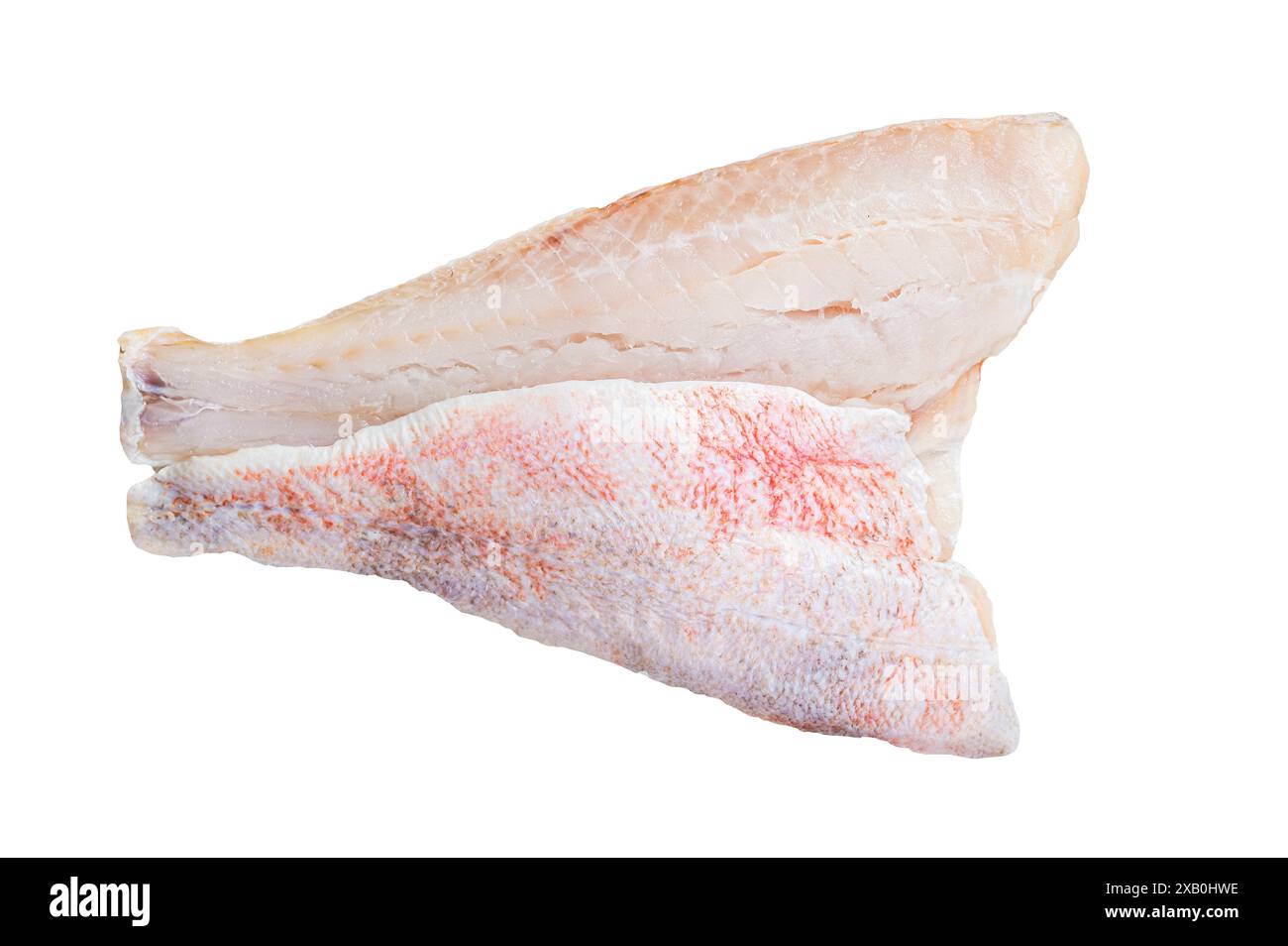 Raw red perch fillet, redfish fish meat. Isolated on white background ...