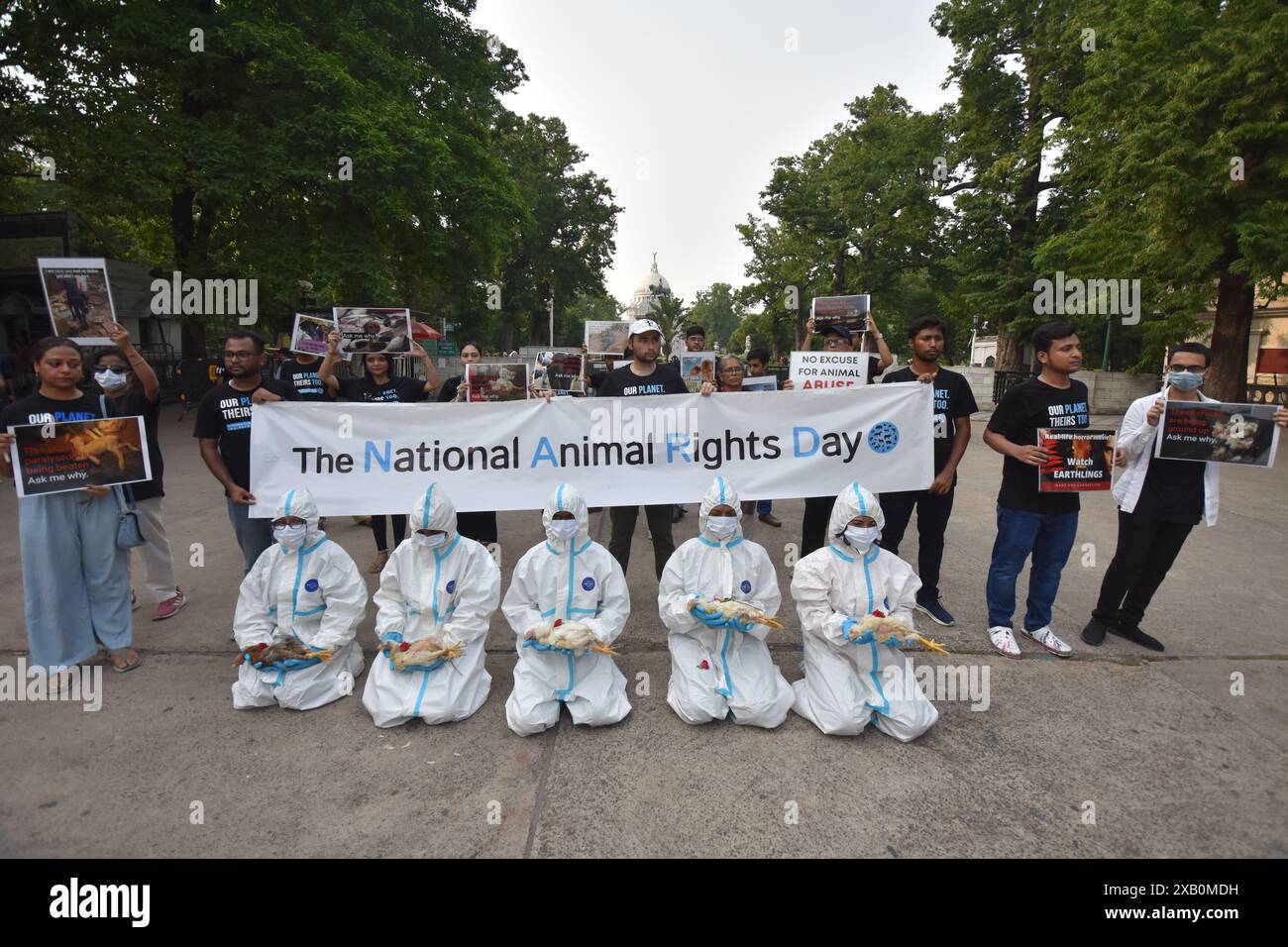 Animal rights activists from the 'Our Planet. Theirs Too.' community ...