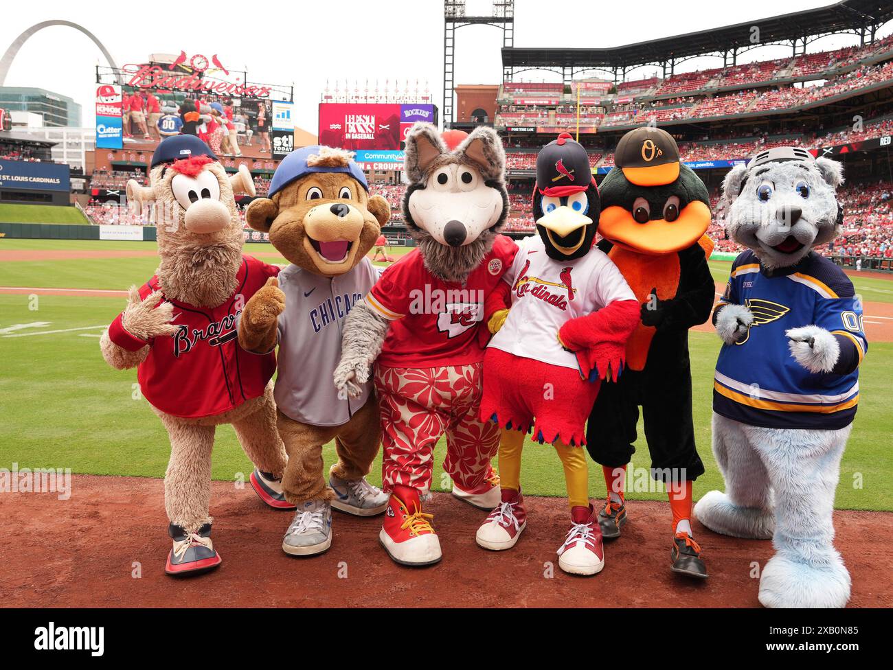 Team mascots (L to R) Atlanta Braves, Chicago Cubs, Kansas City Chiefs ...