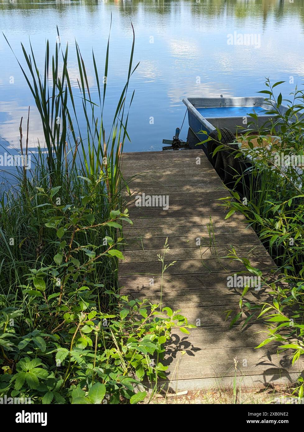 Swimming boat in pond Stock Photo - Alamy