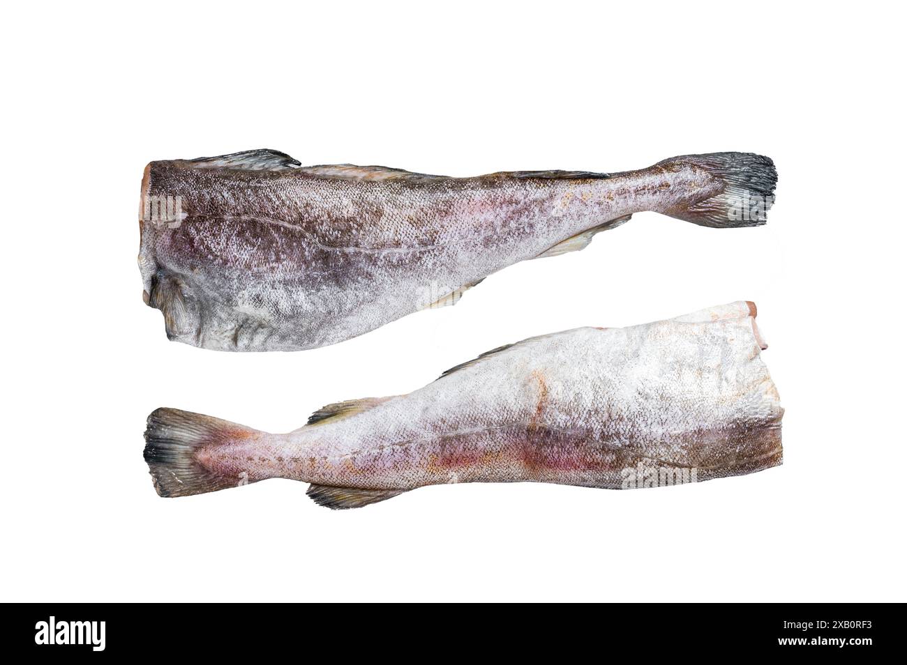 Uncooked raw cod whole Cut Out Stock Images & Pictures - Alamy