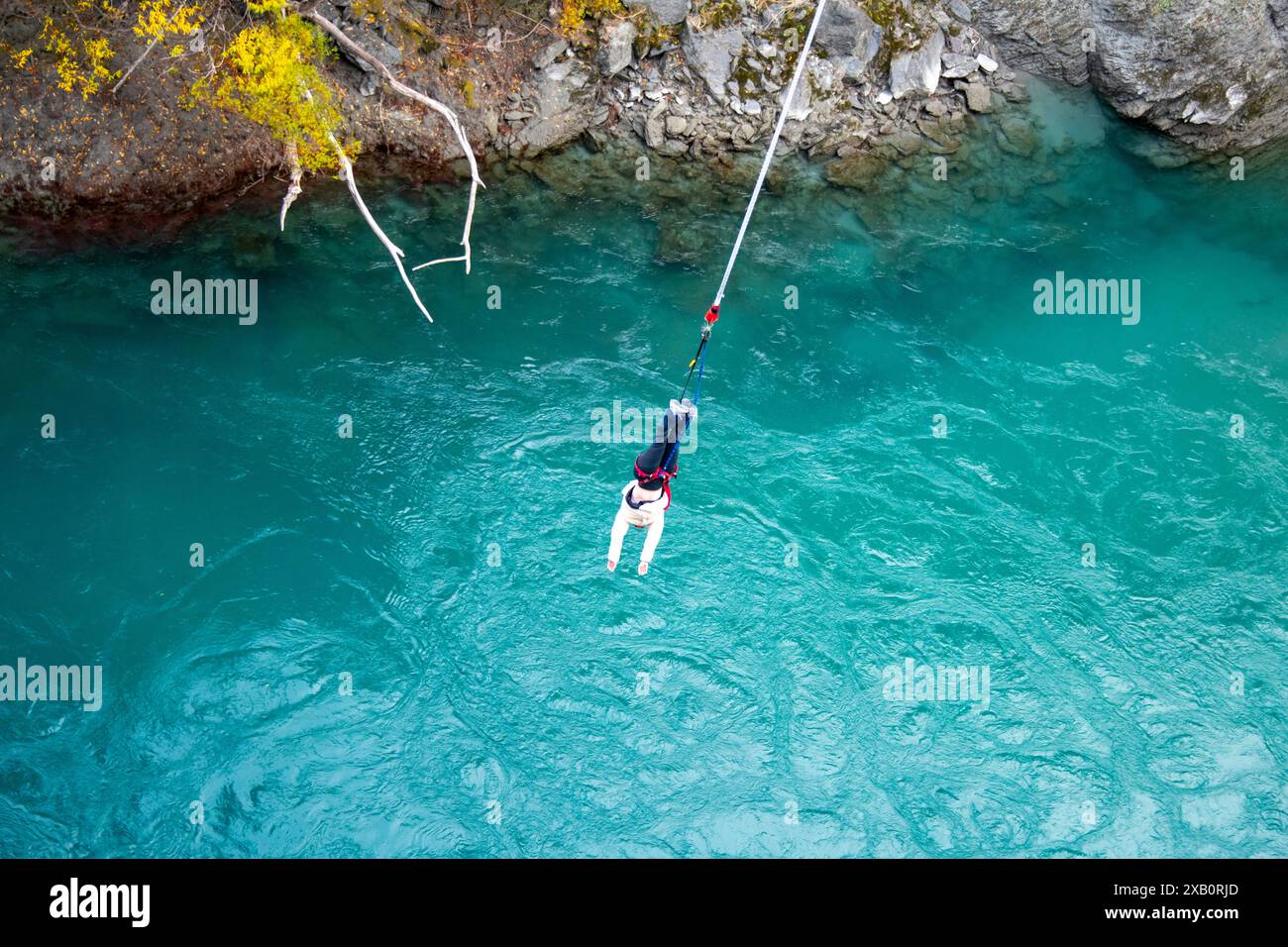 Bungy Jumping on the River Stock Photo - Alamy