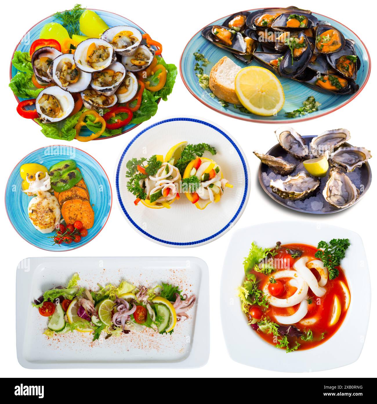 Dishes with different seafood at plates isolated on white background ...