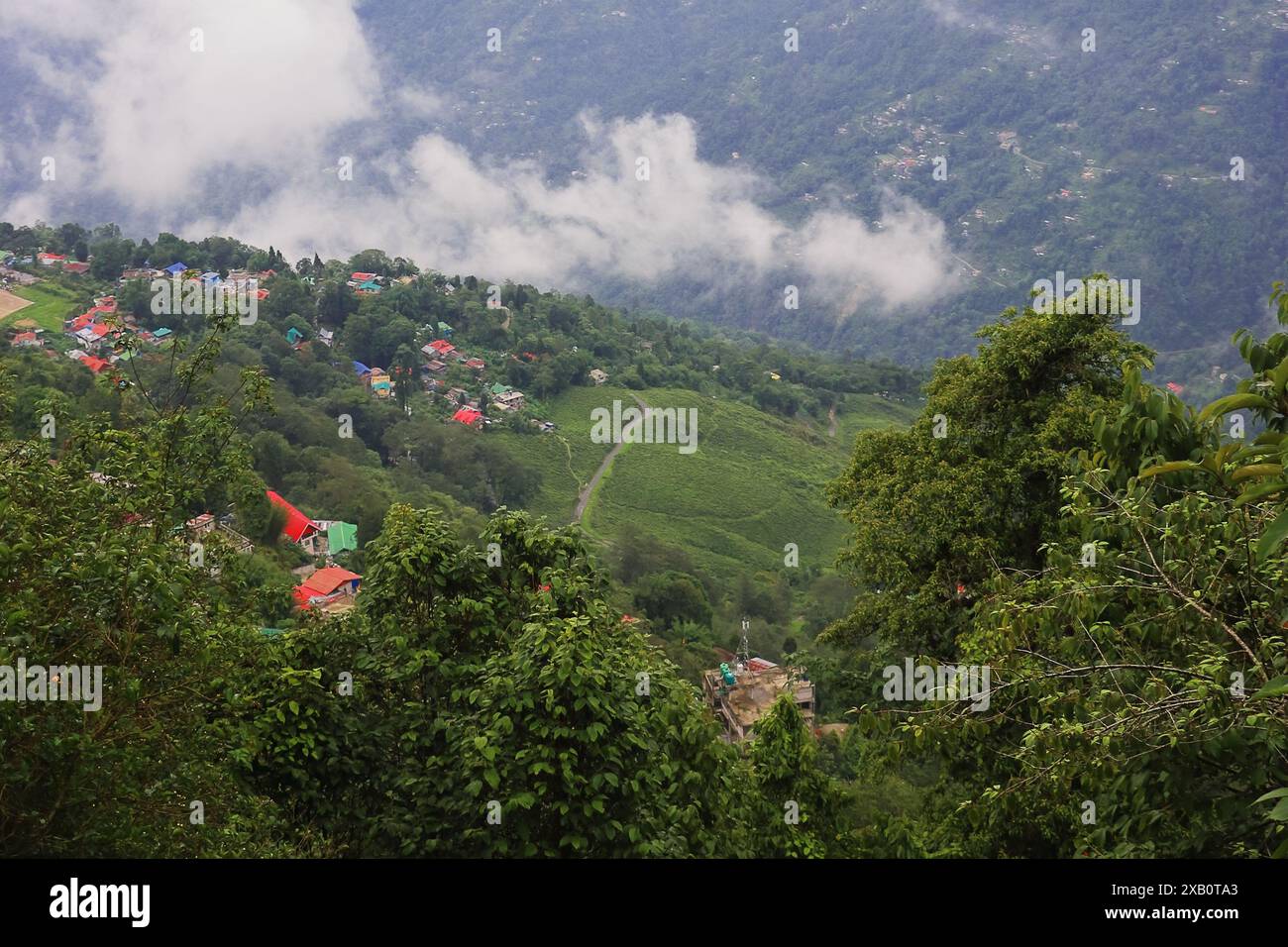 foggy and cloudy lush green himalayan foothills and mountain ...