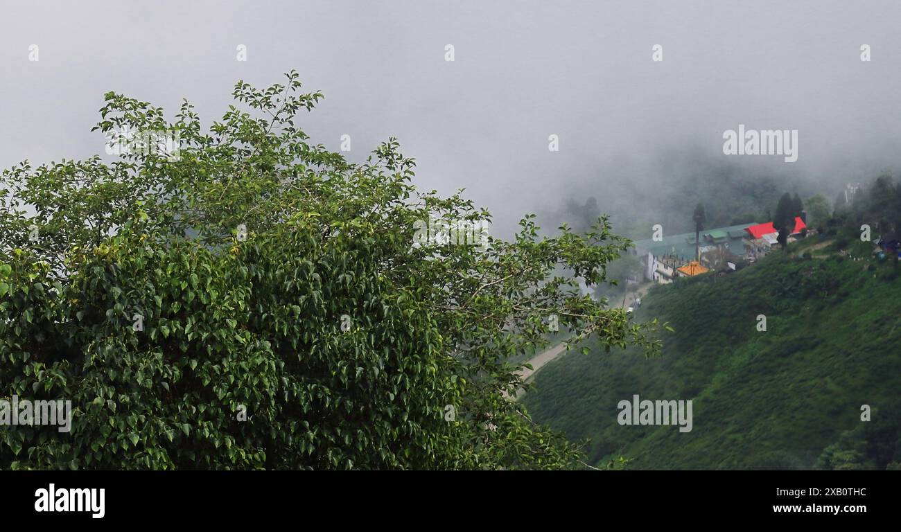 foggy and cloudy lush green himalayan foothills and mountain ...