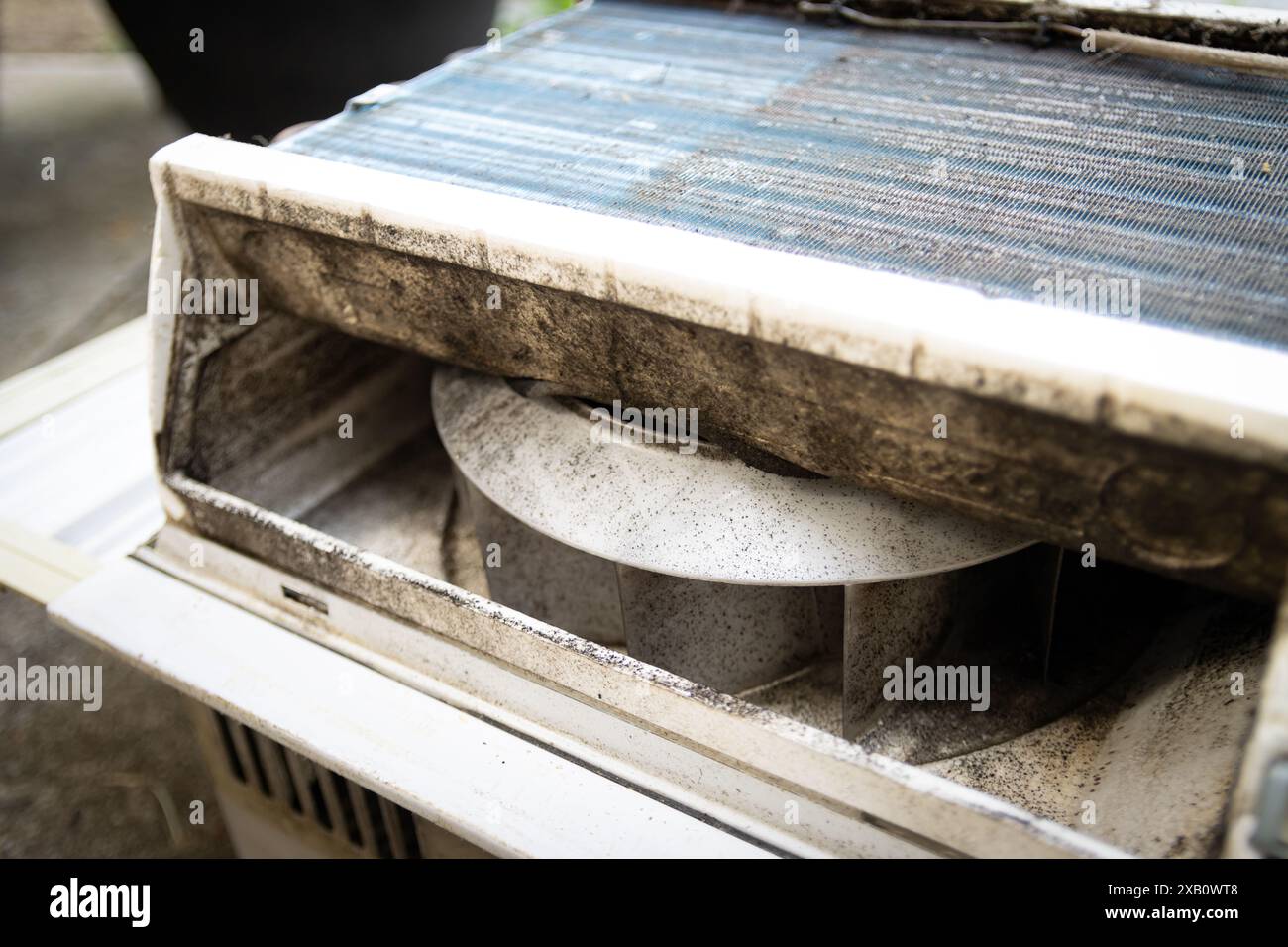 Exposed black mold inside window air conditioner unit Stock Photo - Alamy