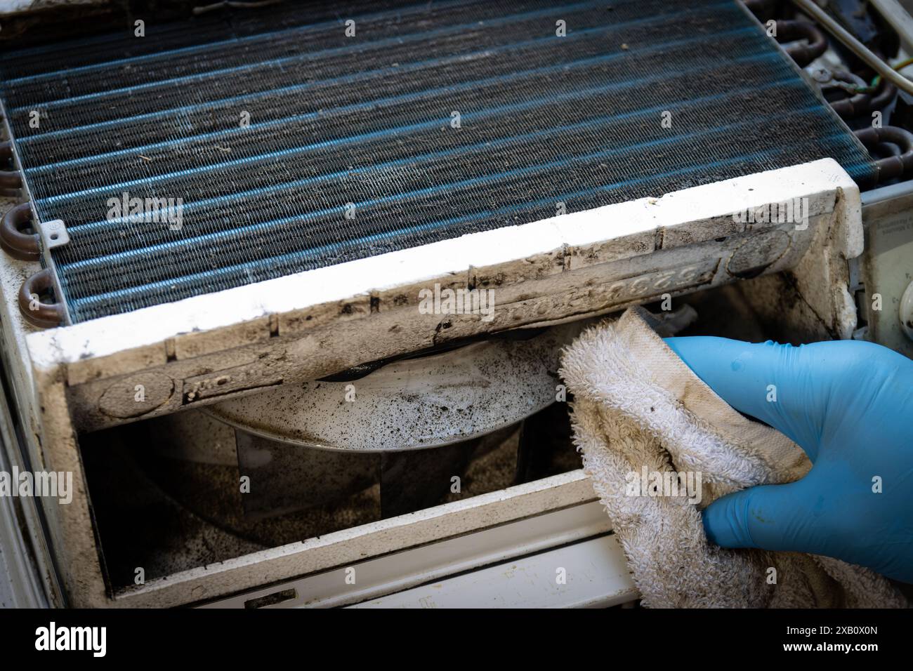 Latex gloved hand wipes black mold and residue from interior of window ...