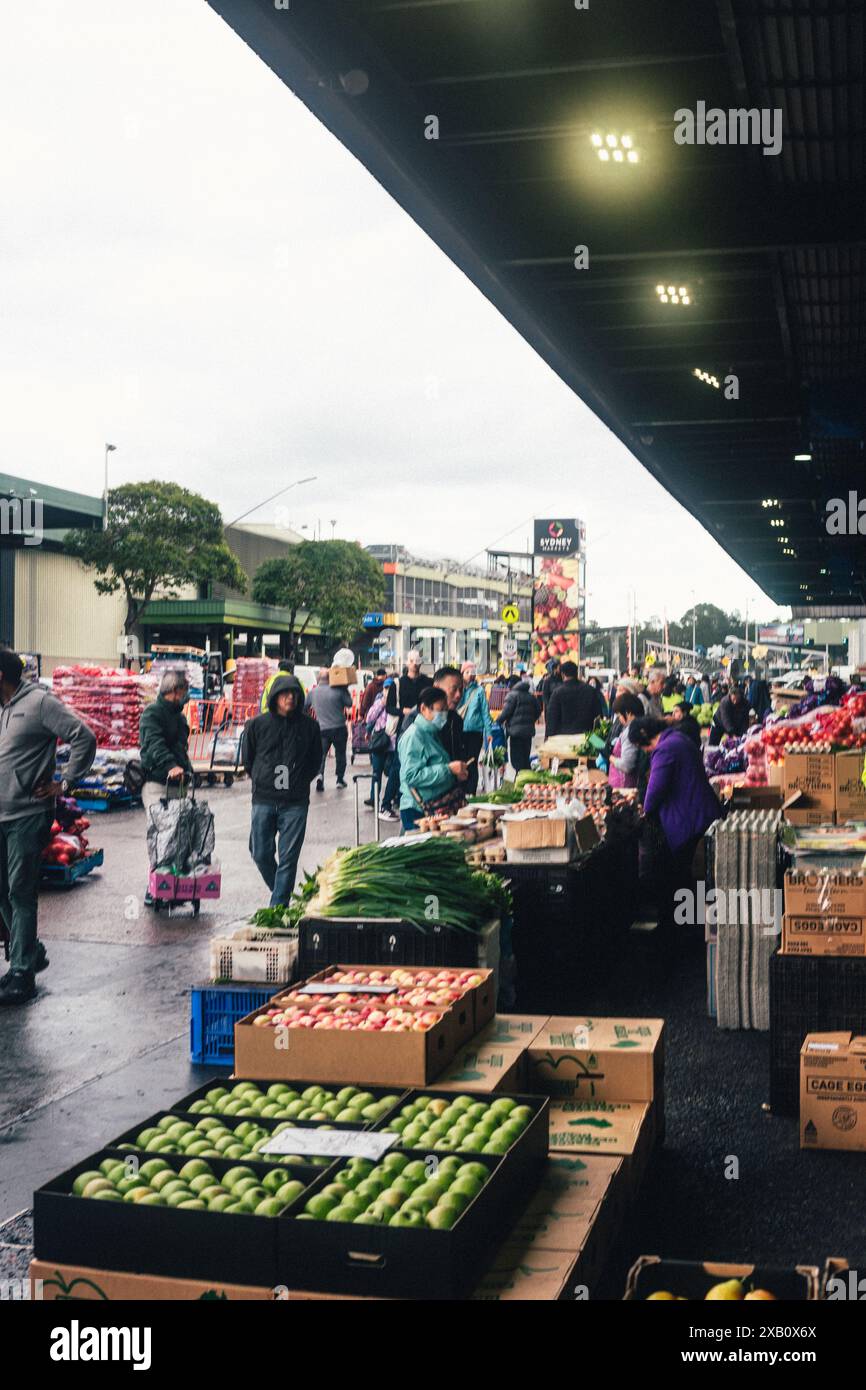 Flemington Markets Sydney Stock Photo - Alamy