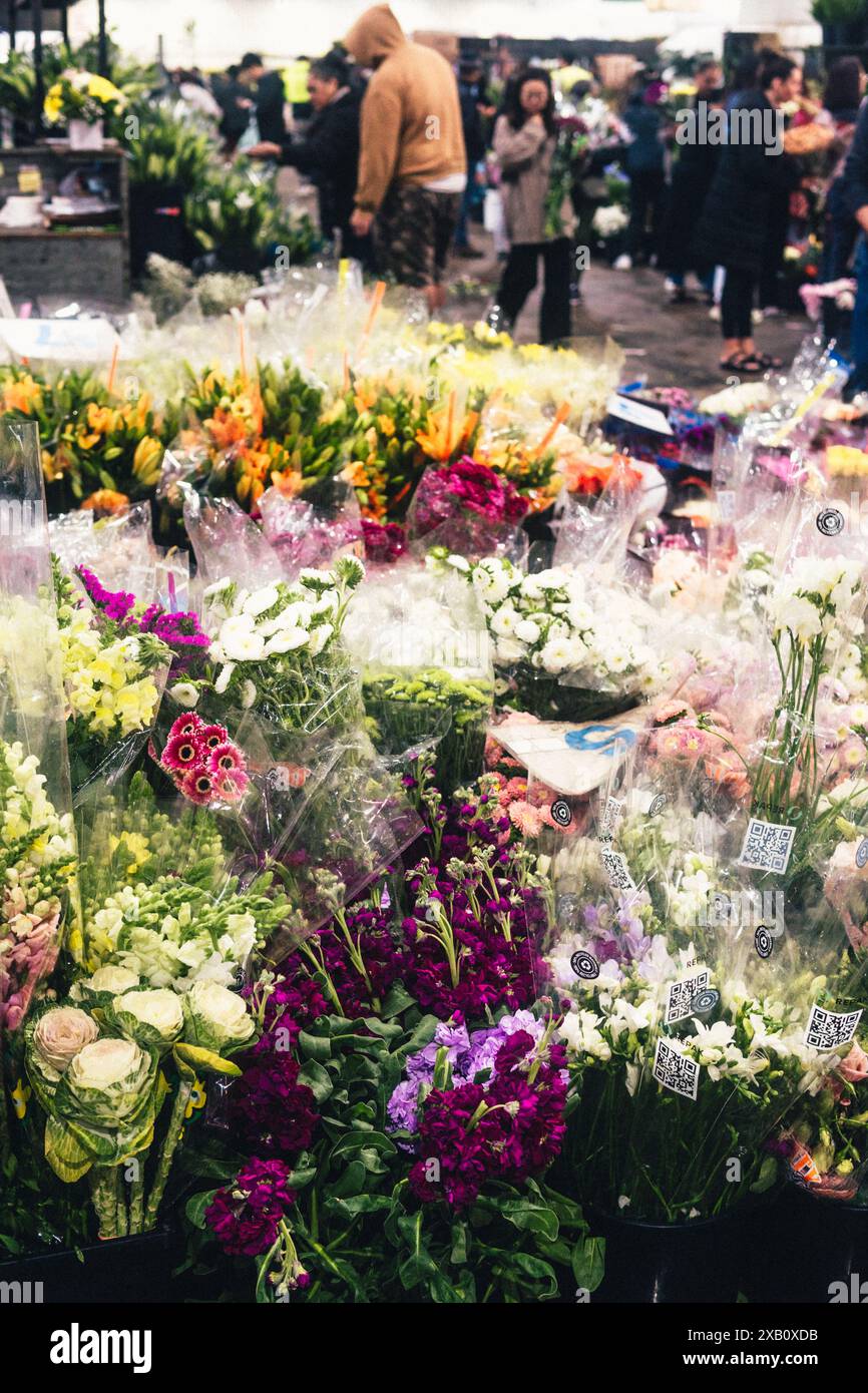 Flemington Markets Sydney Stock Photo - Alamy