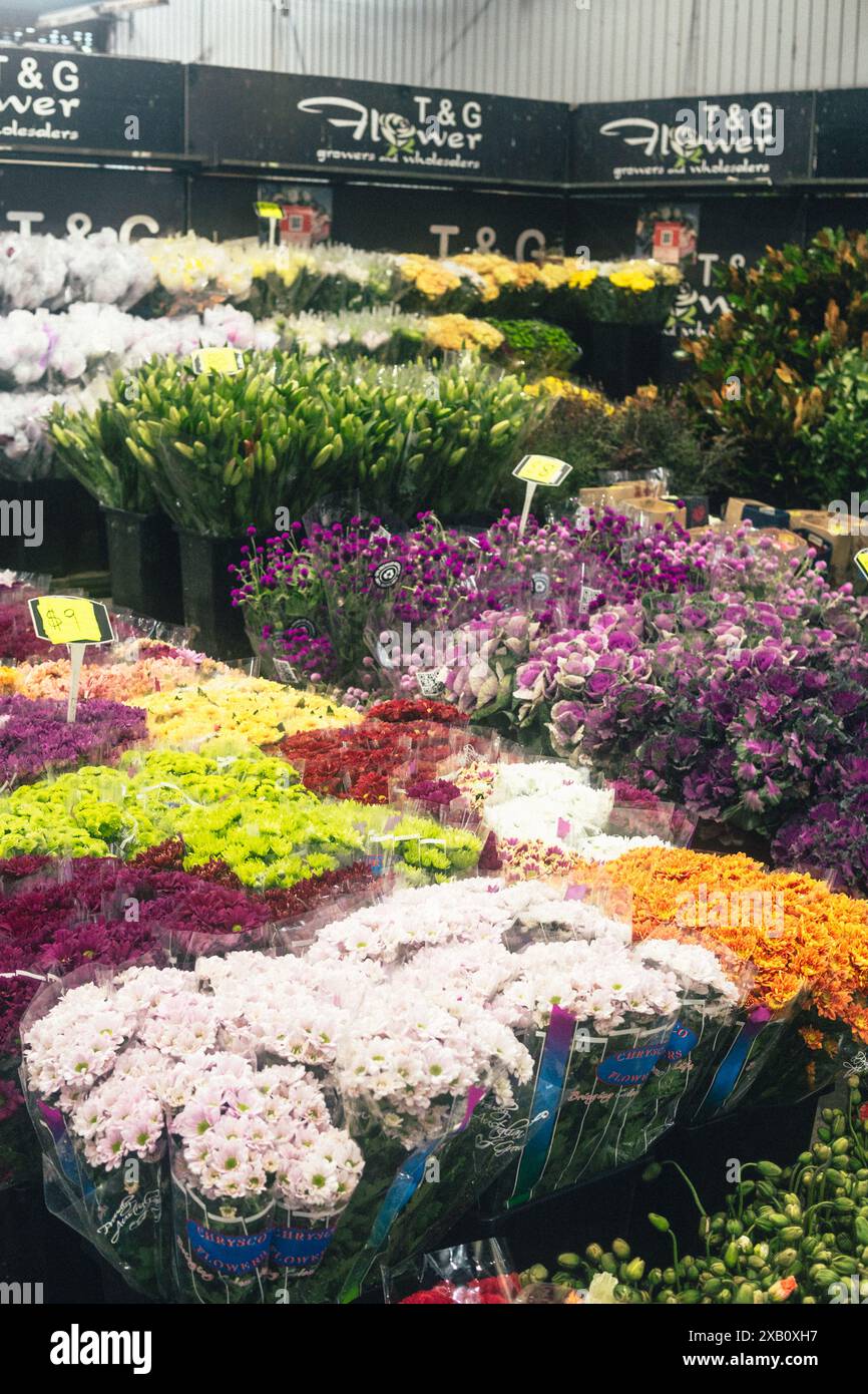 Flemington Markets Sydney Stock Photo - Alamy