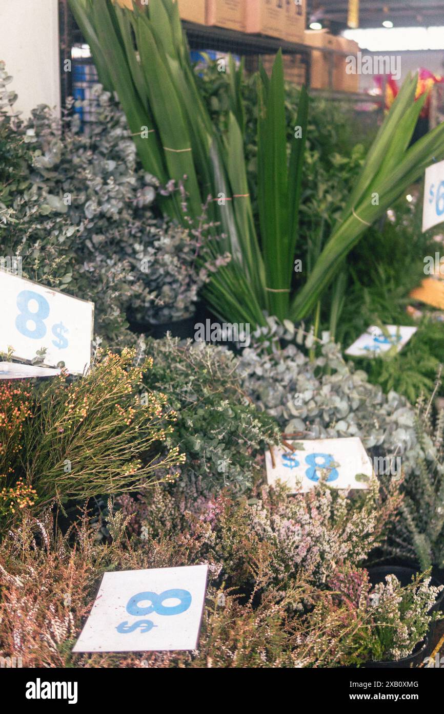 Wholesale produce markets hi-res stock photography and images - Alamy