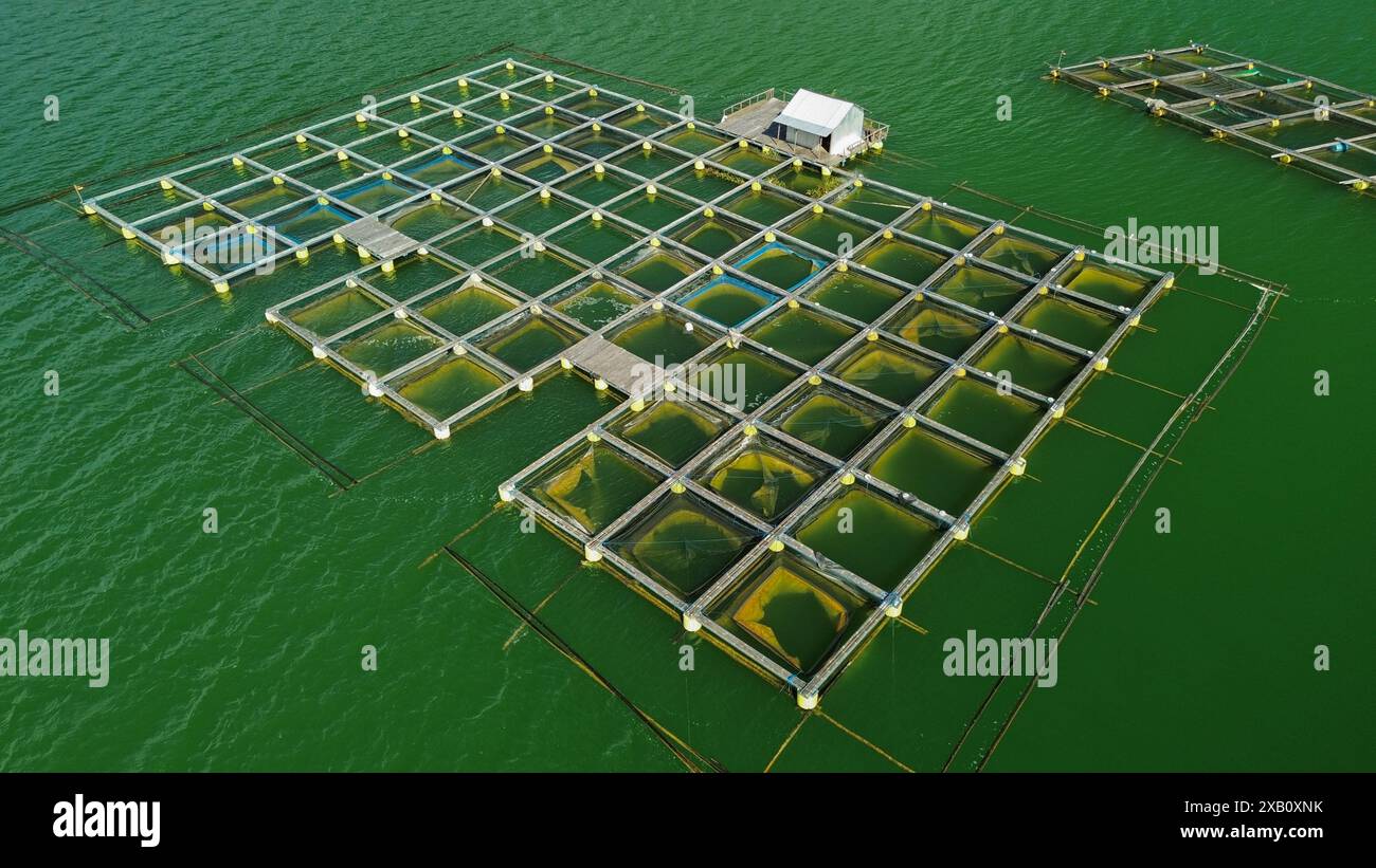 Aerial view of a fish breeding farm located in a lake with turquoise ...