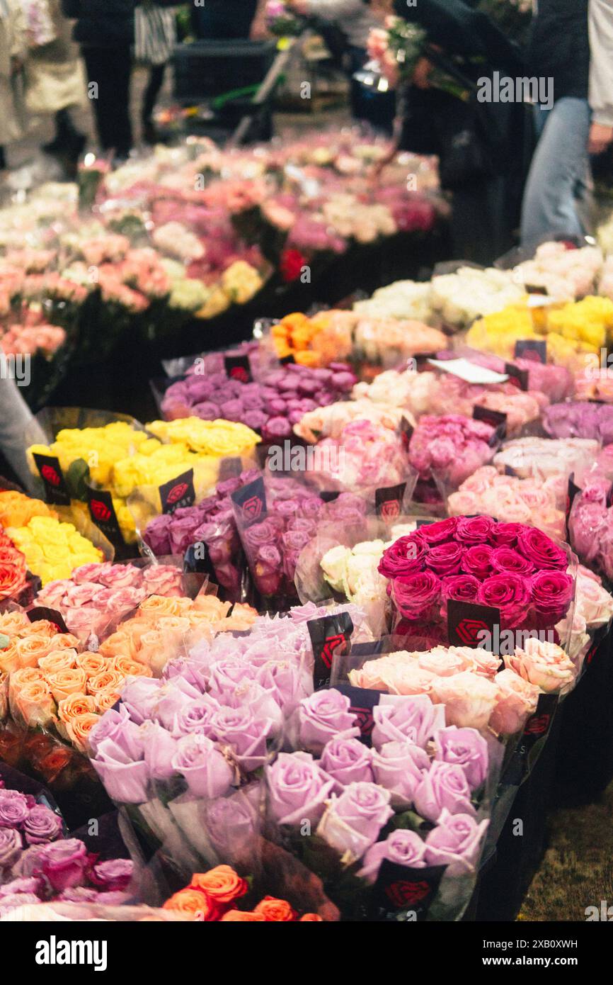 Flemington Markets Sydney Stock Photo - Alamy
