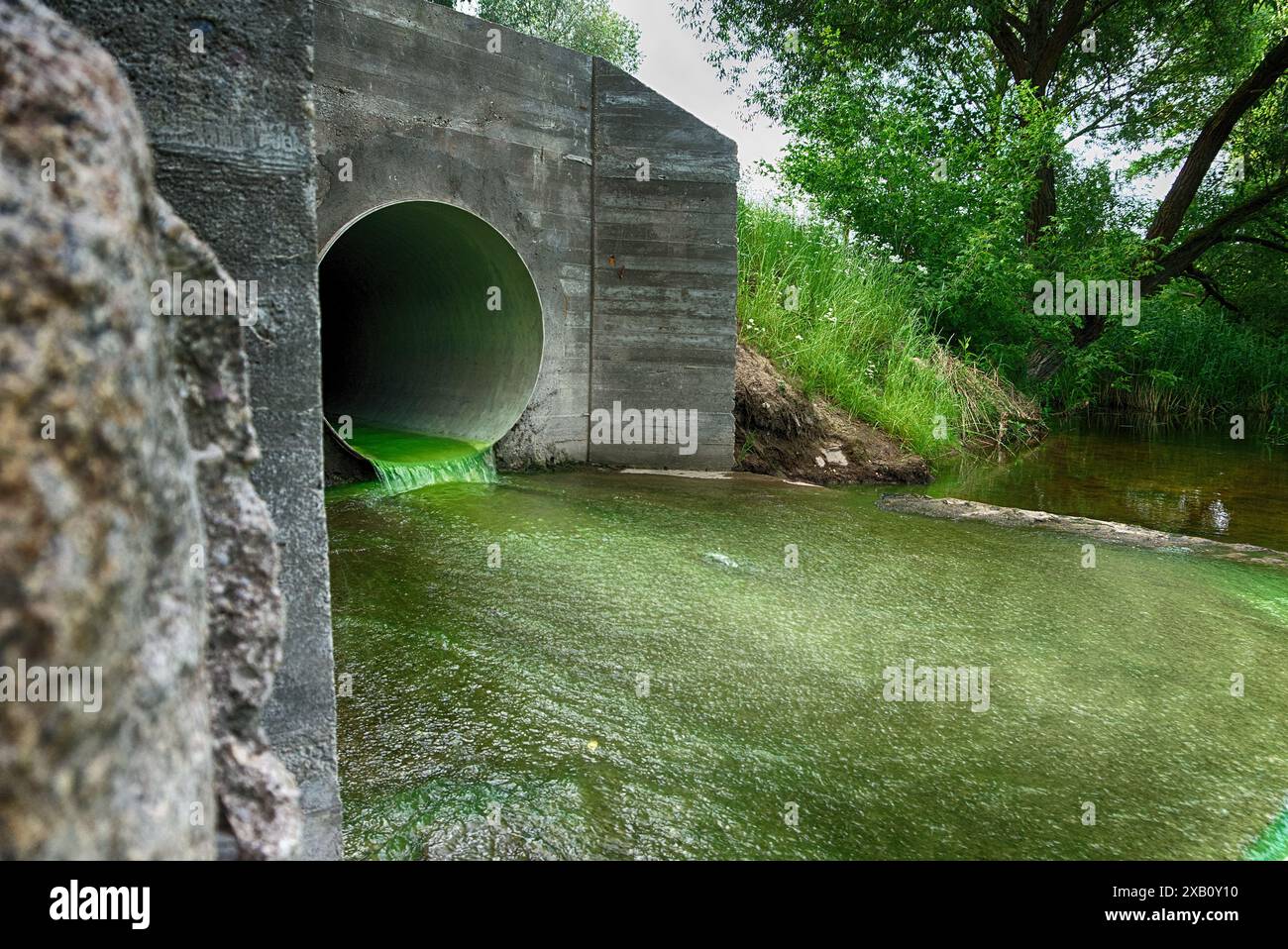 Bright green polluted effluent flowing through a drainage pipe exiting ...