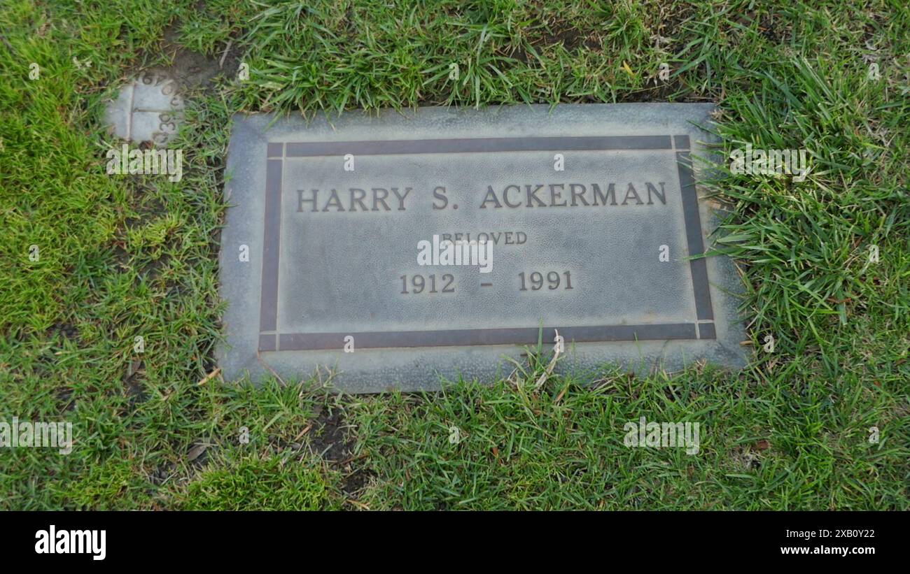 Los Angeles, California, USA 6th June 2024 Television Producer Harry ...