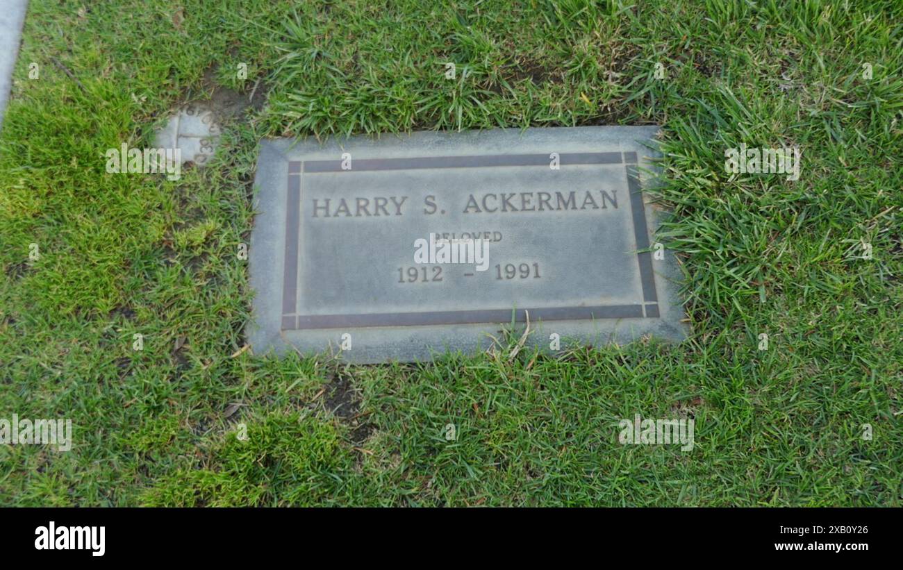 Los Angeles, California, USA 6th June 2024 Television Producer Harry Stephen Ackerman Grave in ...