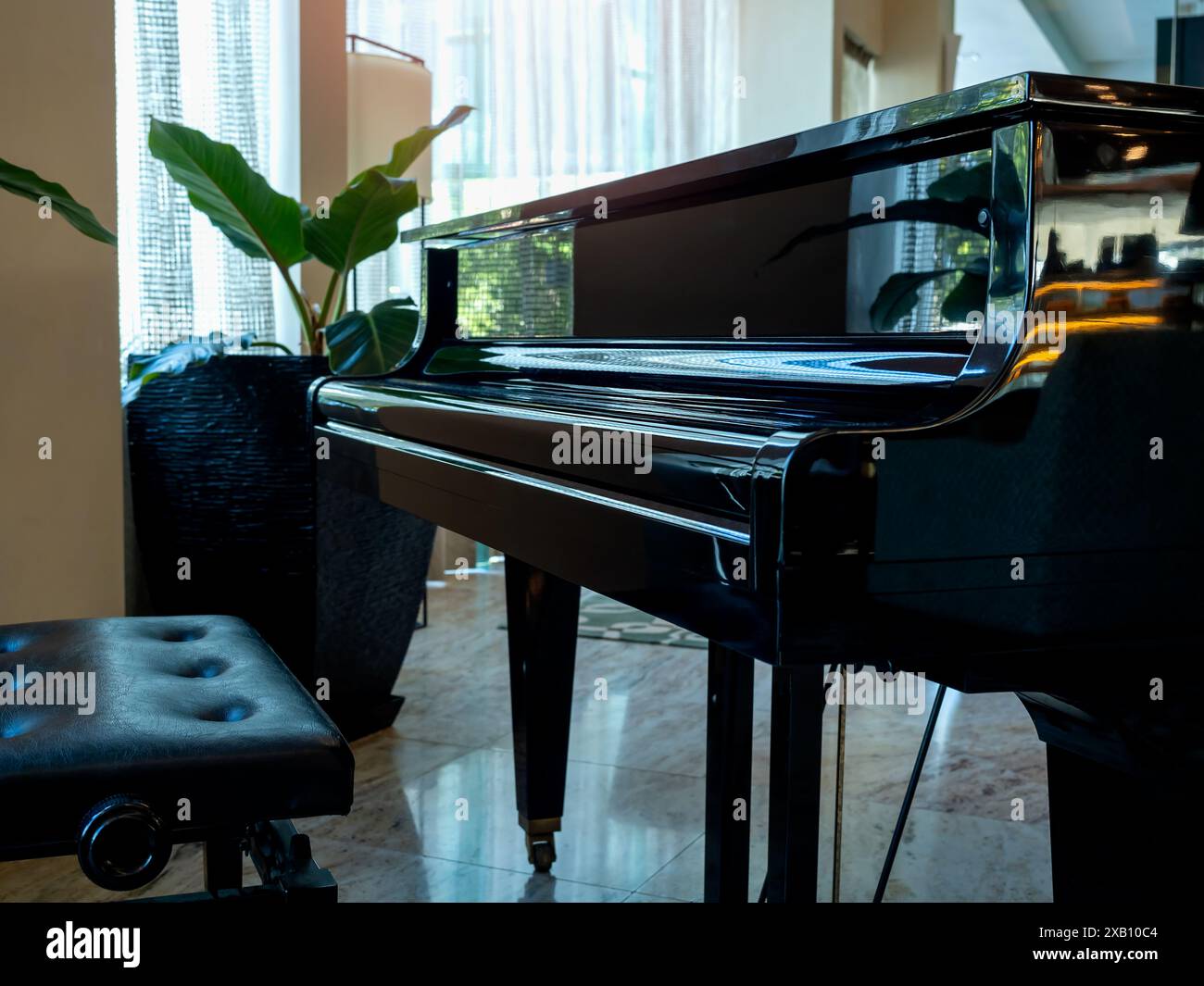 Close-up black piano, empty leather seat and plant pot near big glass ...