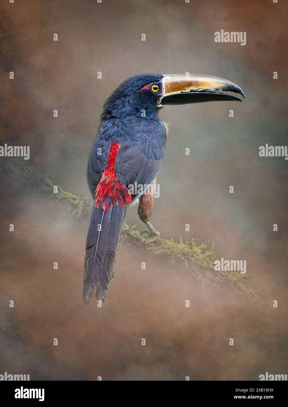 London Ontario, April 24 2024, CAPTION Zuzanna Bechard/Alamy Stock ...