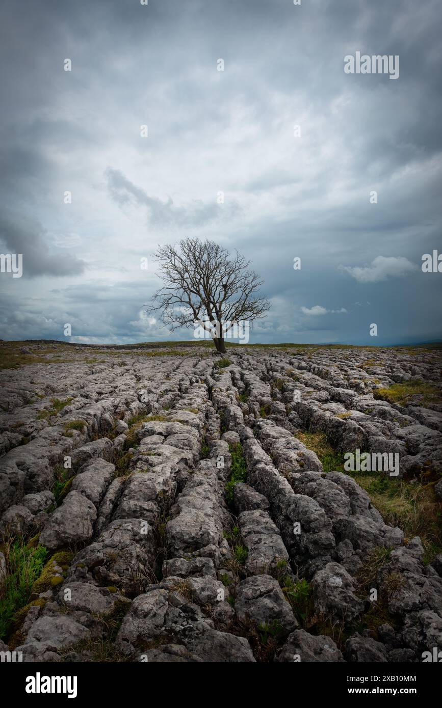 Malham, Yorkshire Dales, England Stock Photo - Alamy