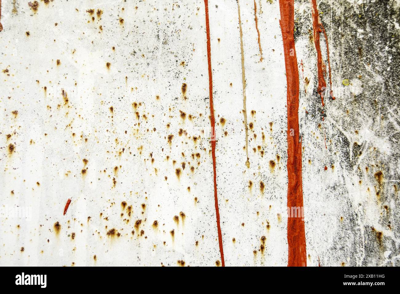 Detail of damaged and rusty metal wall, abandonment and ruin Stock ...