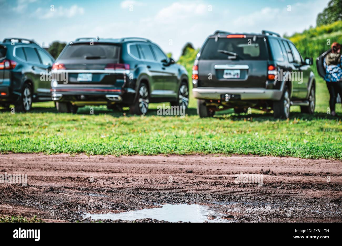 Selective focus on mud and torn up grass in the foreground of a dirt ...