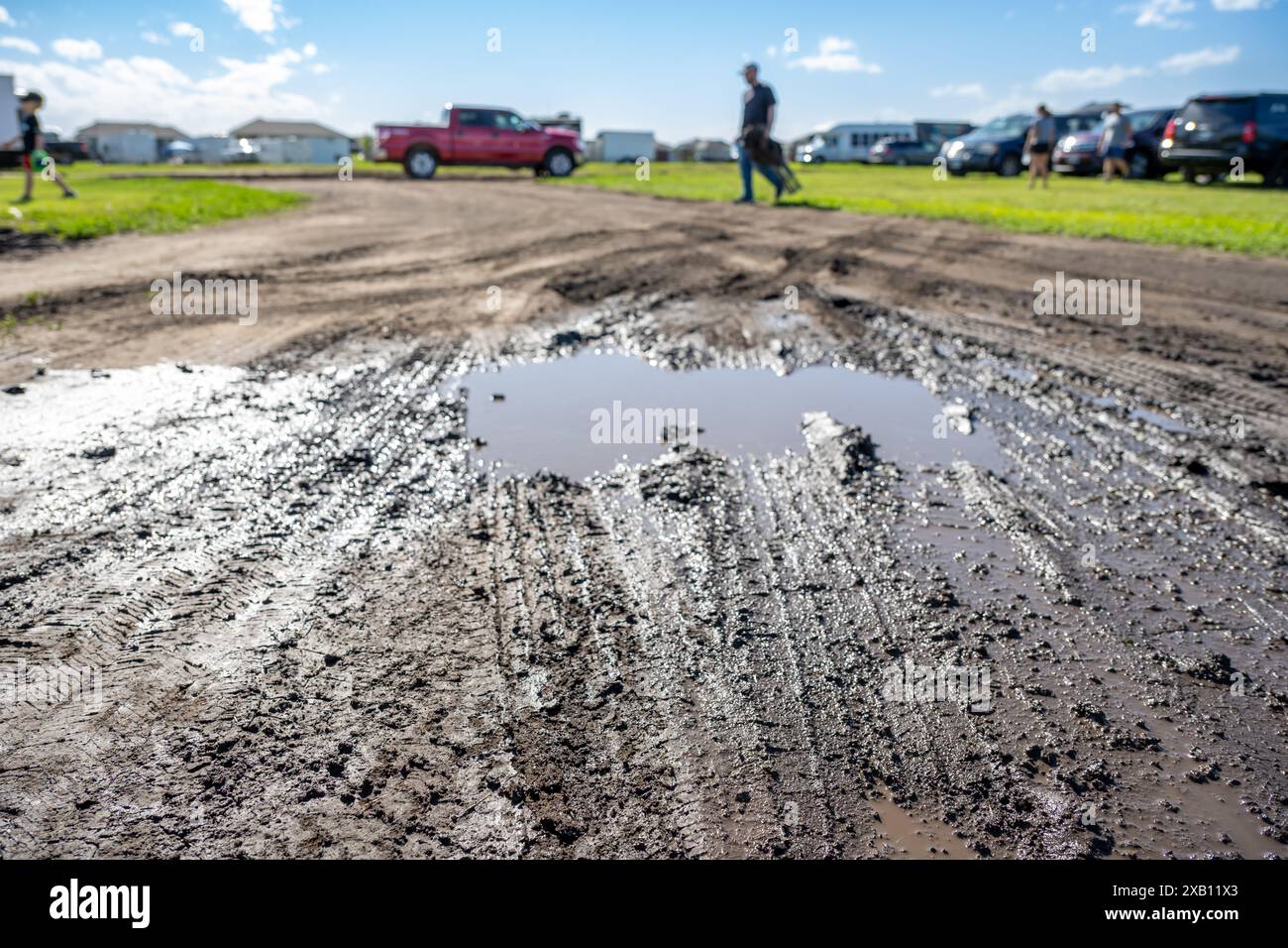 Selective focus on mud and torn up grass in the foreground of a dirt ...