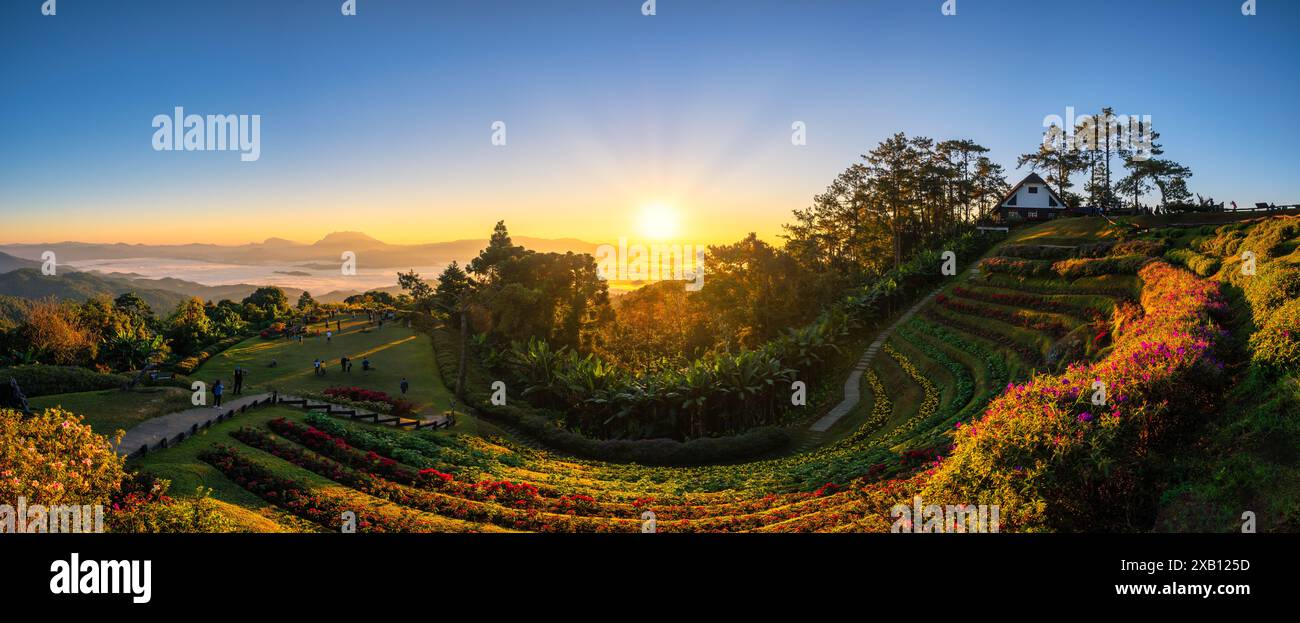 Tropical forest nature landscape view with mountain range sunrise at ...