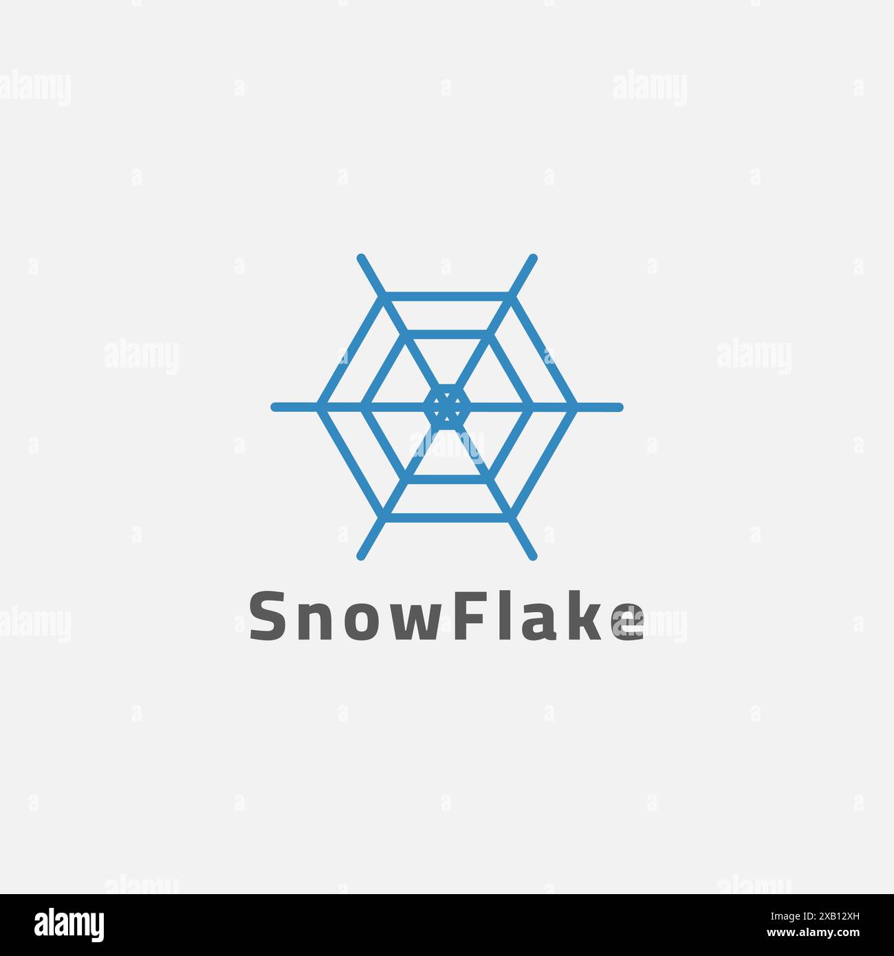A snowflake logo shaped like a spider's web Stock Vector Image & Art ...