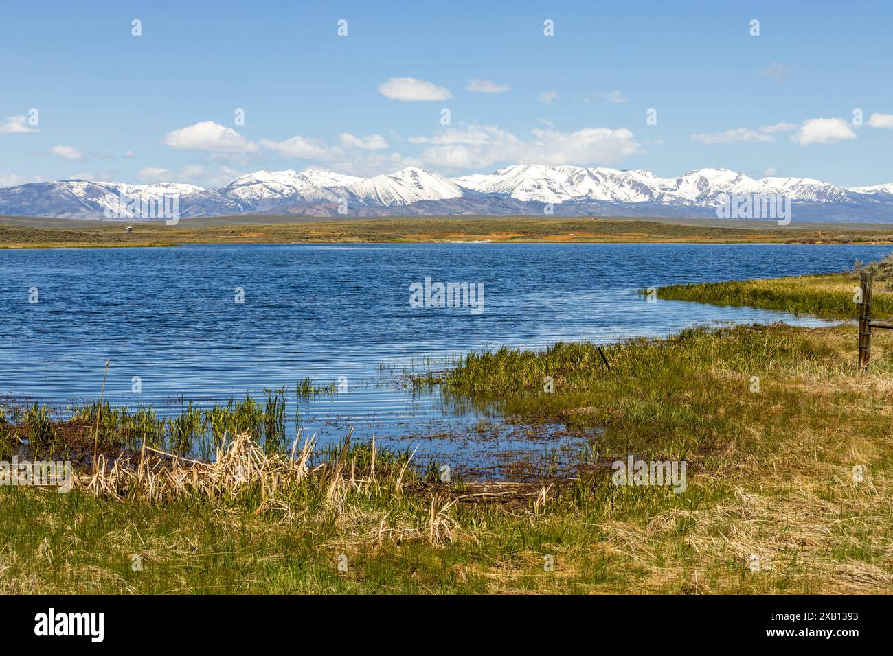 Walden reservoir hi-res stock photography and images - Alamy