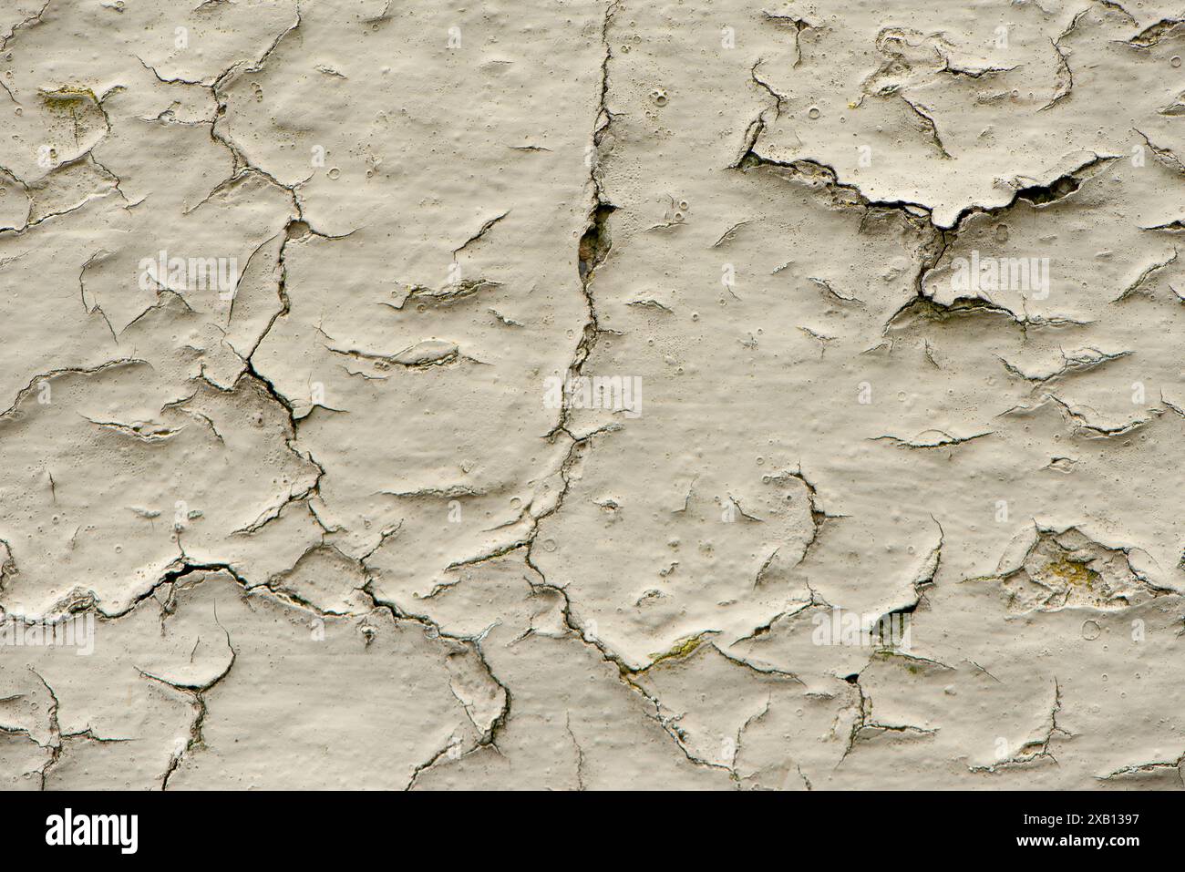 Old beige colour cracked paint for backgrounds and designing Stock ...