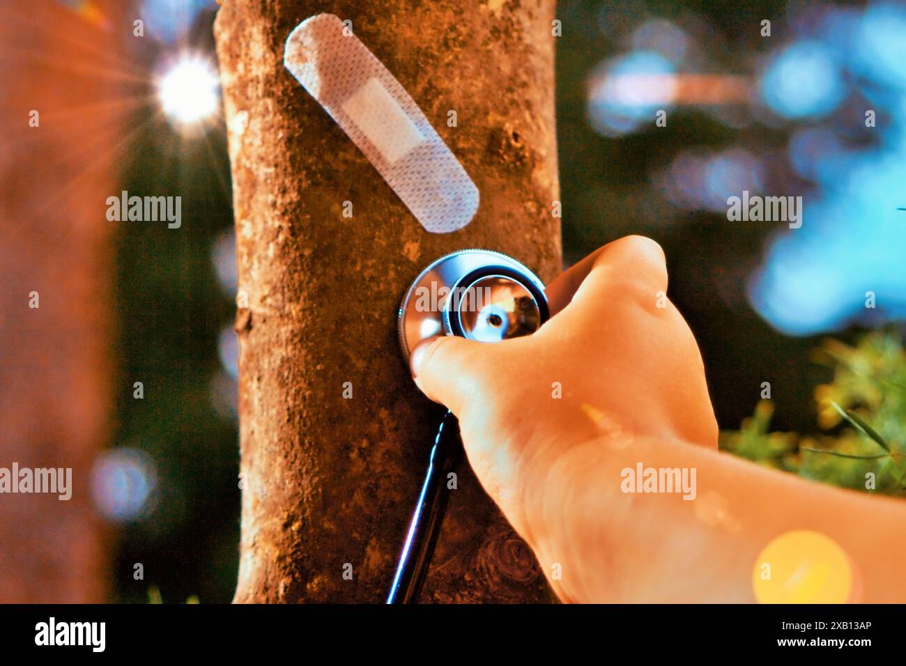Checking health listening tree nature with stethoscope, biology ...