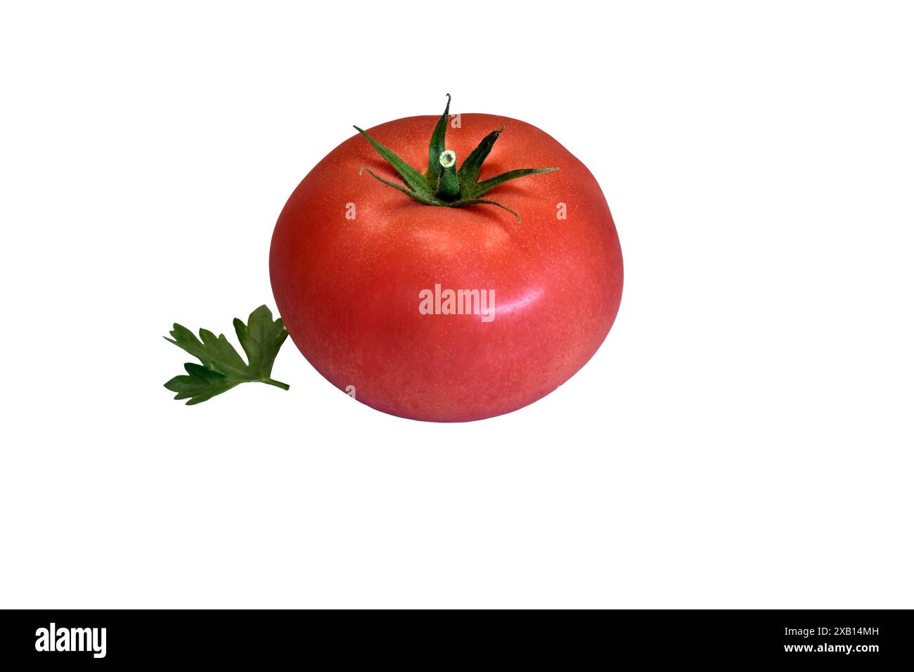 Ripe red round tomato and green leaf Stock Photo - Alamy