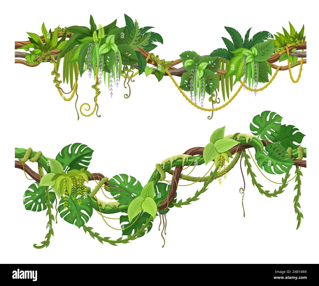 Amazon rainforest plants Cut Out Stock Images & Pictures - Alamy