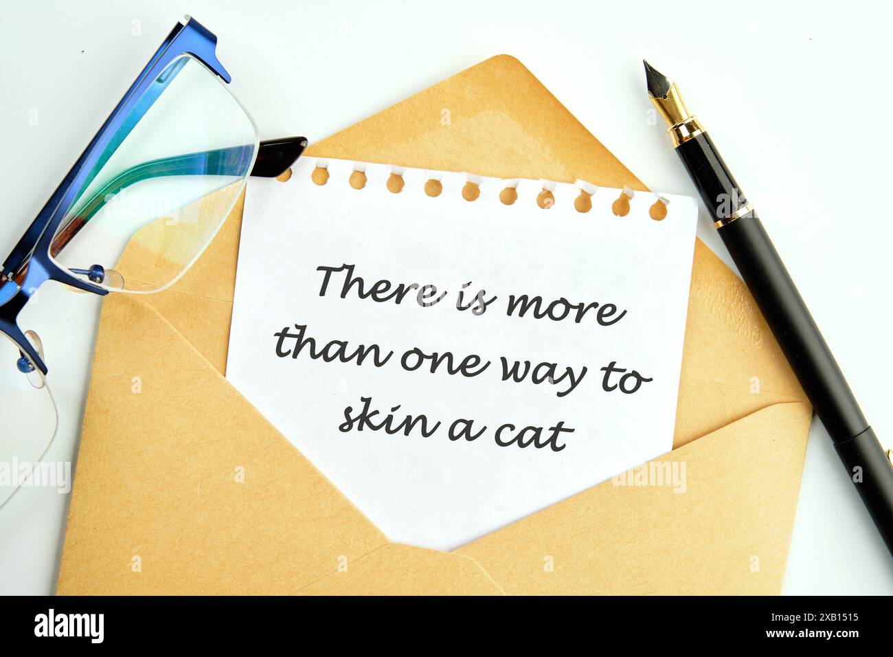 There is more than one way to skin a cat text an inscription on a piece ...