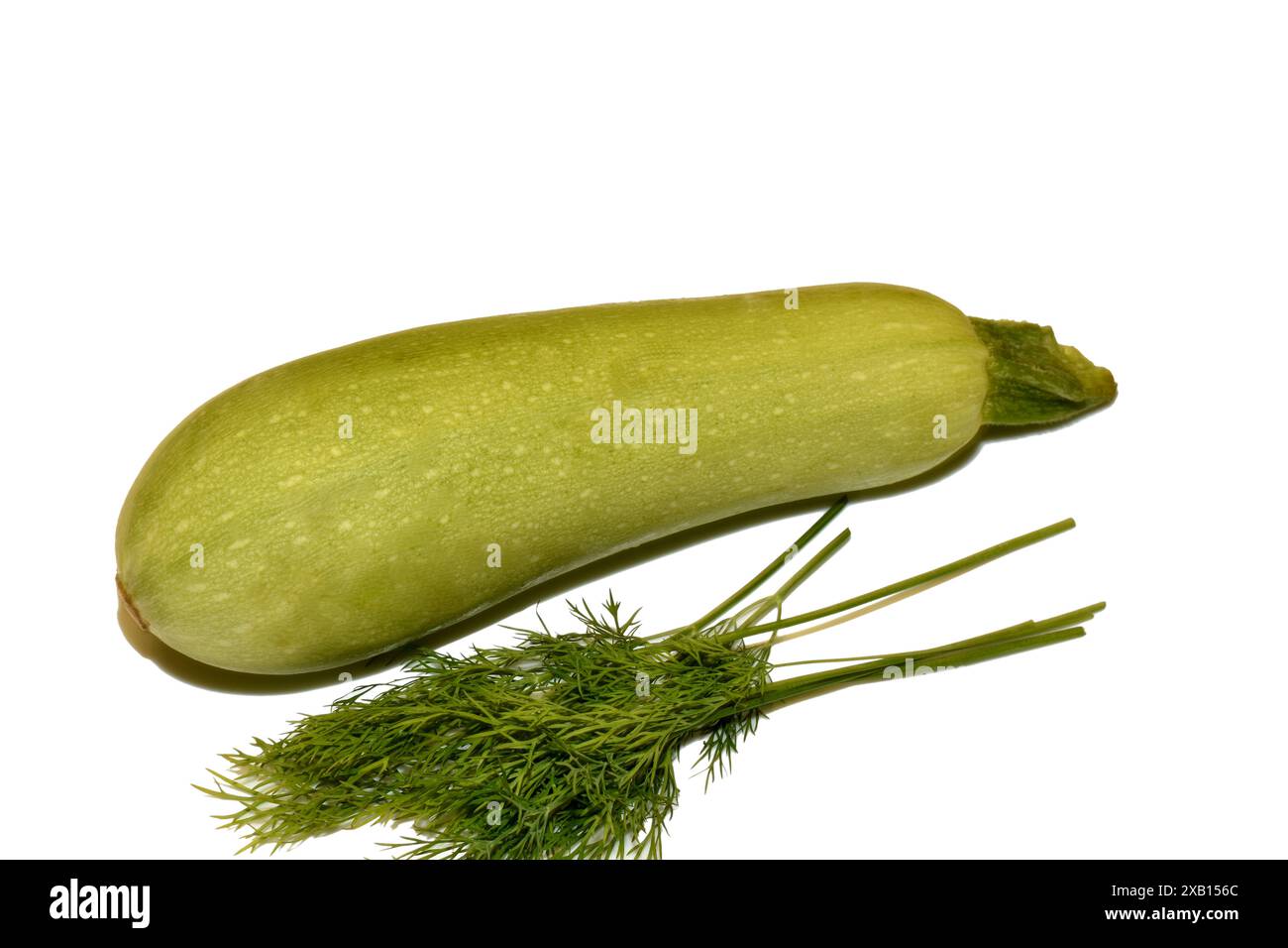 The picture shows a light green zucchini garnished with dill leaves ...