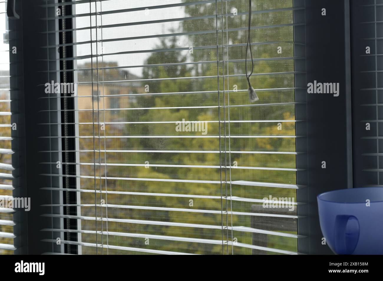 View of the urban area, buildings, trees, through open window blinds ...