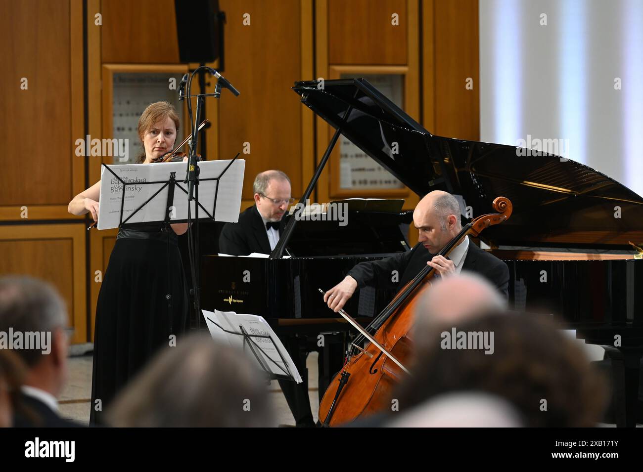 Yaromyr bozhenko hi-res stock photography and images - Alamy